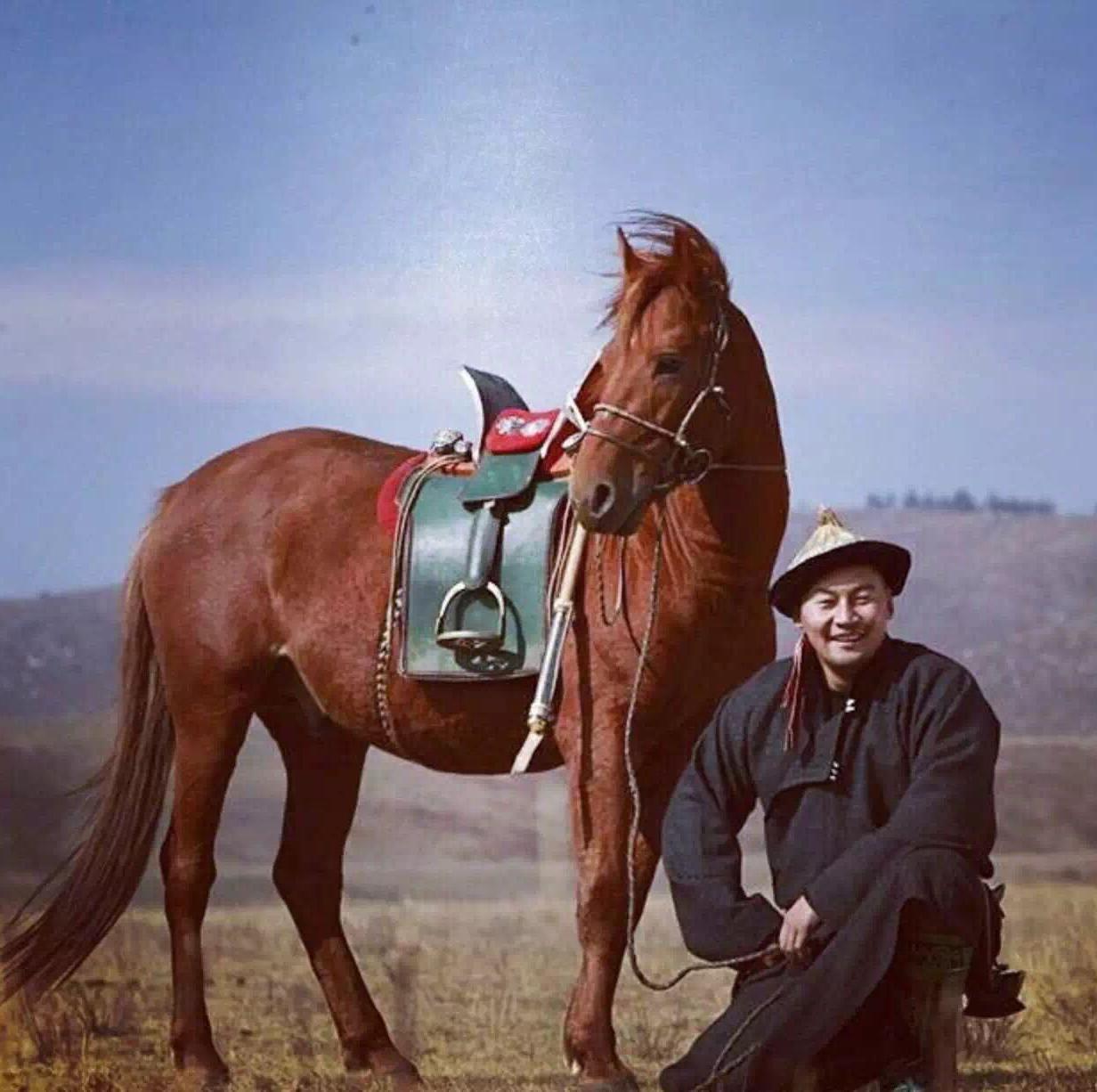 A cool - Ms - Mongol Baharhal - 电台节目 - 网易云音乐