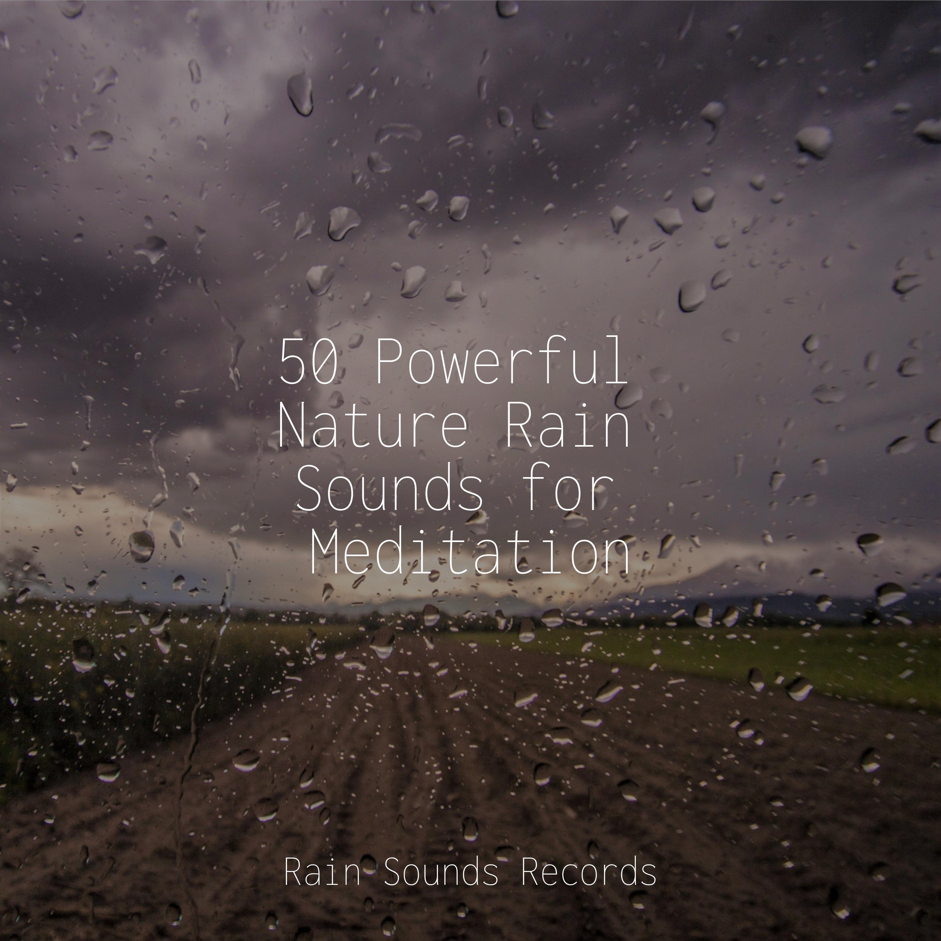 50 Powerful Nature Rain Sounds for Meditation - Lucid Dreaming Music ...
