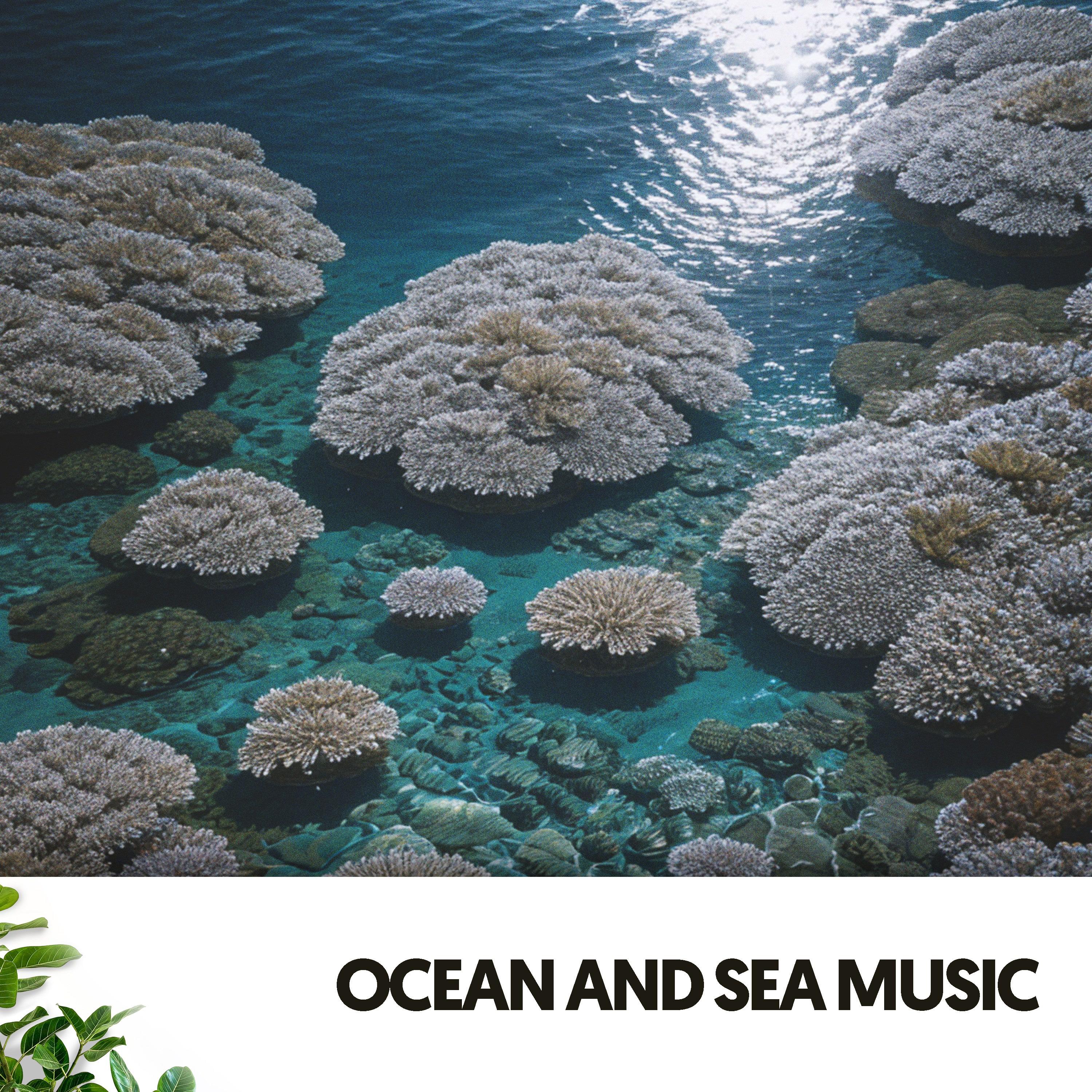 Ocean and Sea Sounds: Blue Deep Melodies - Dog Relaxation - 专辑 - 网易云音乐