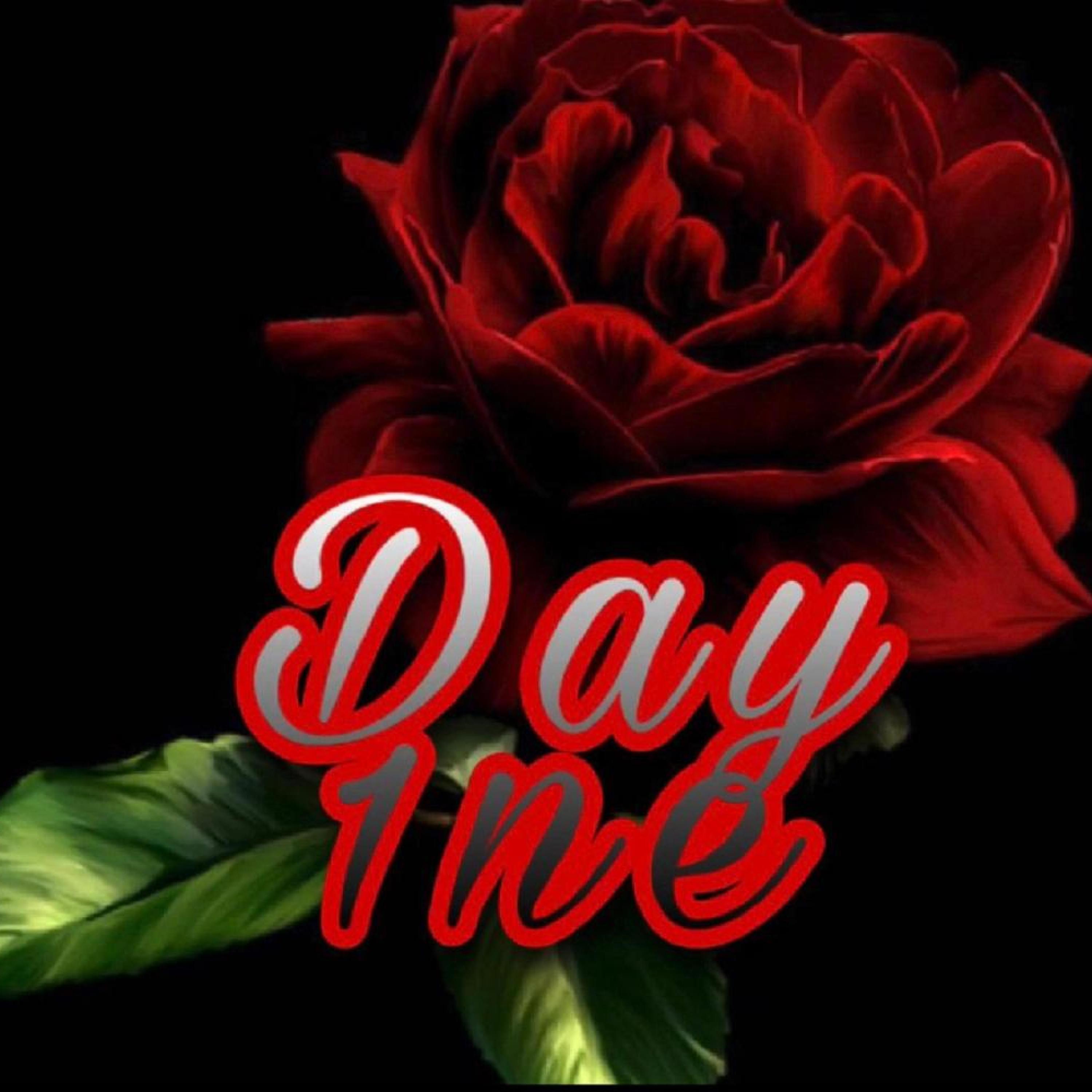Day 1ne - Double R 408 - 专辑 - 网易云音乐