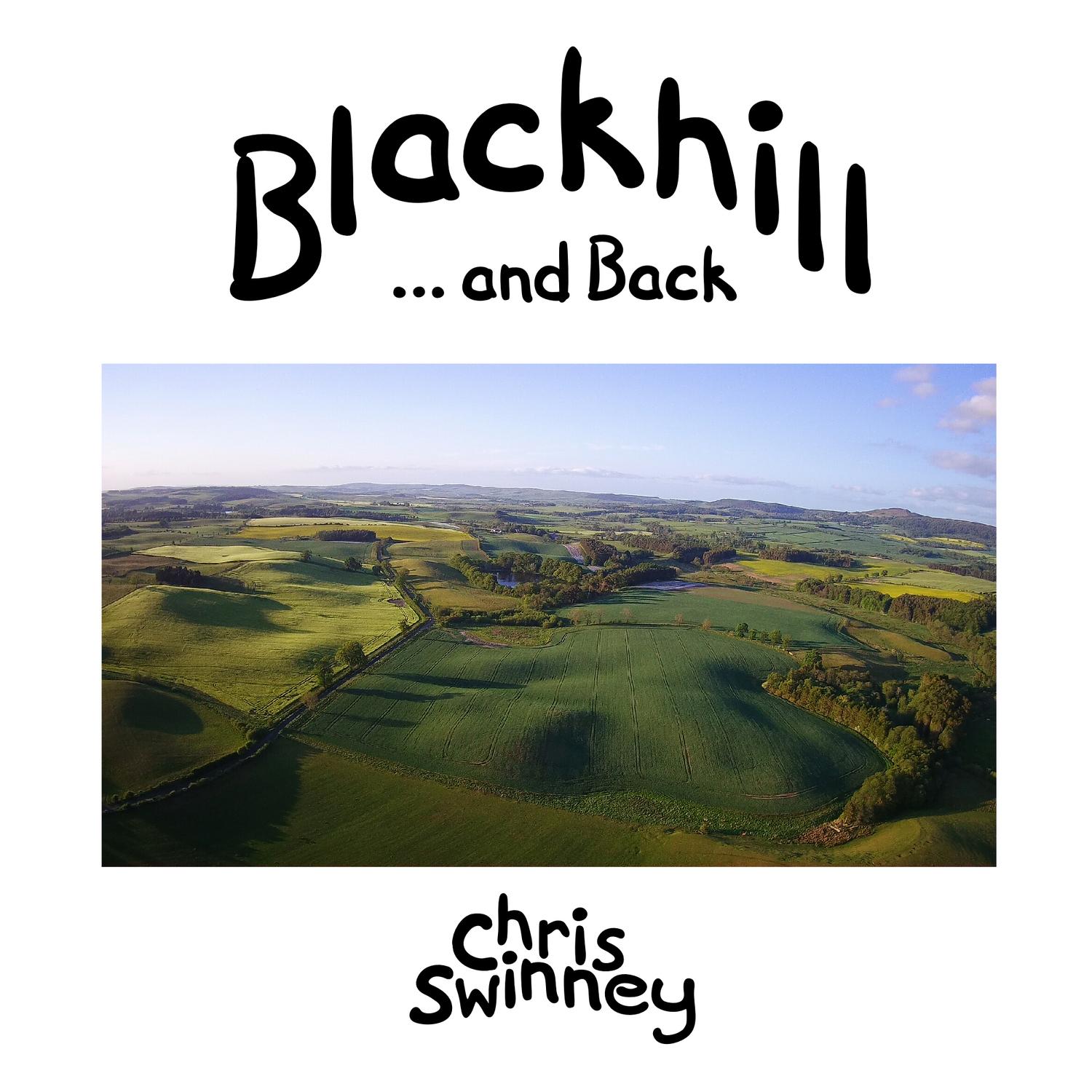 Words That She Never Said - Chris Swinney - 单曲 - 网易云音乐