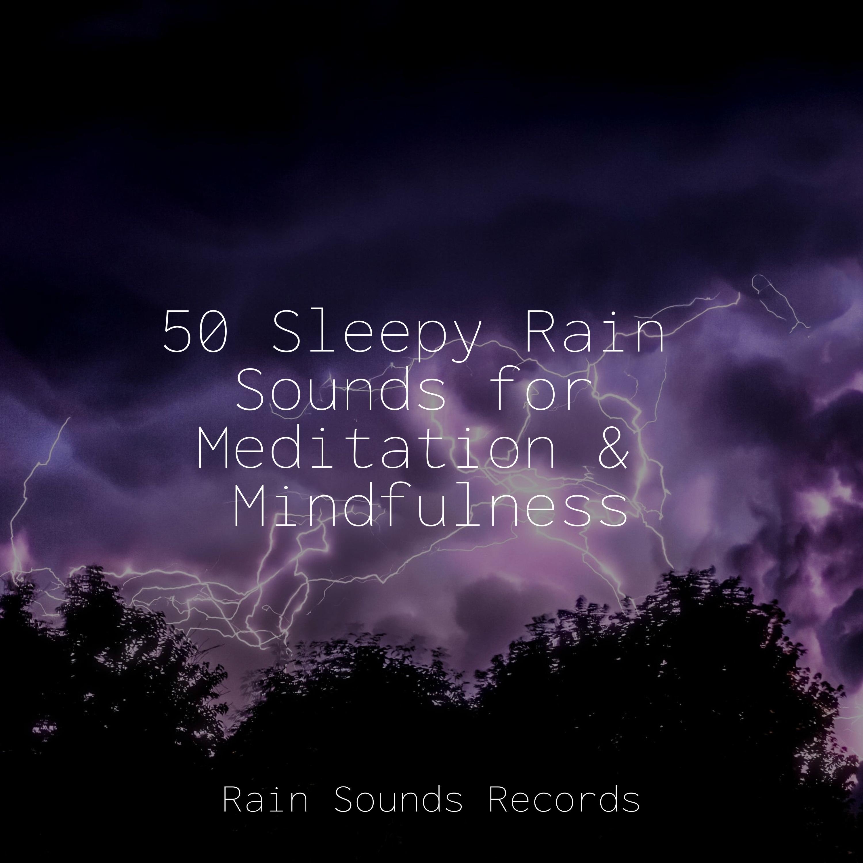 Sewer Symphony - Soothing Sounds/Zen Music Garden/Natural Sounds - 单曲 ...