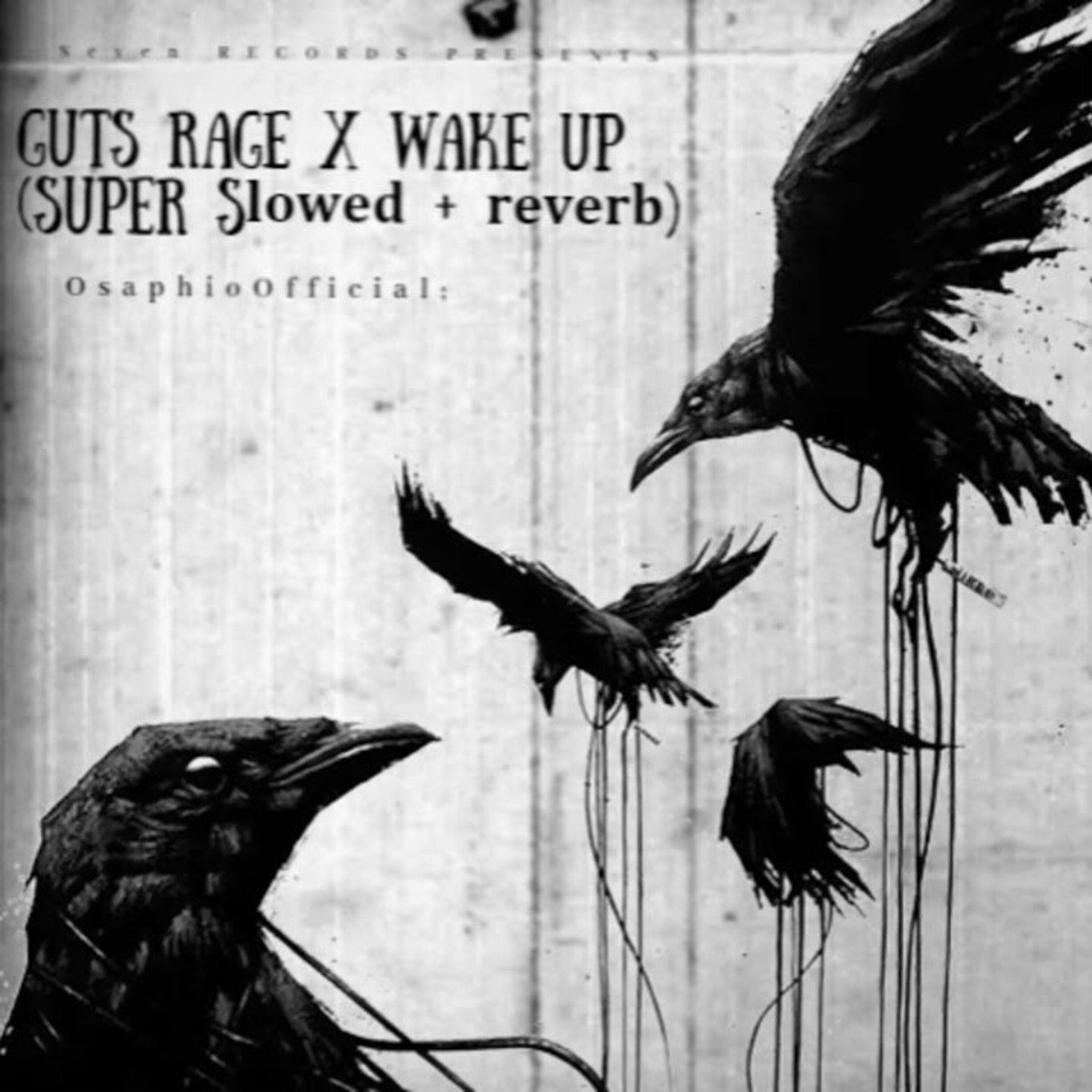 Guts Rage x Wake up - Osaphioofficial - 专辑 - 网易云音乐