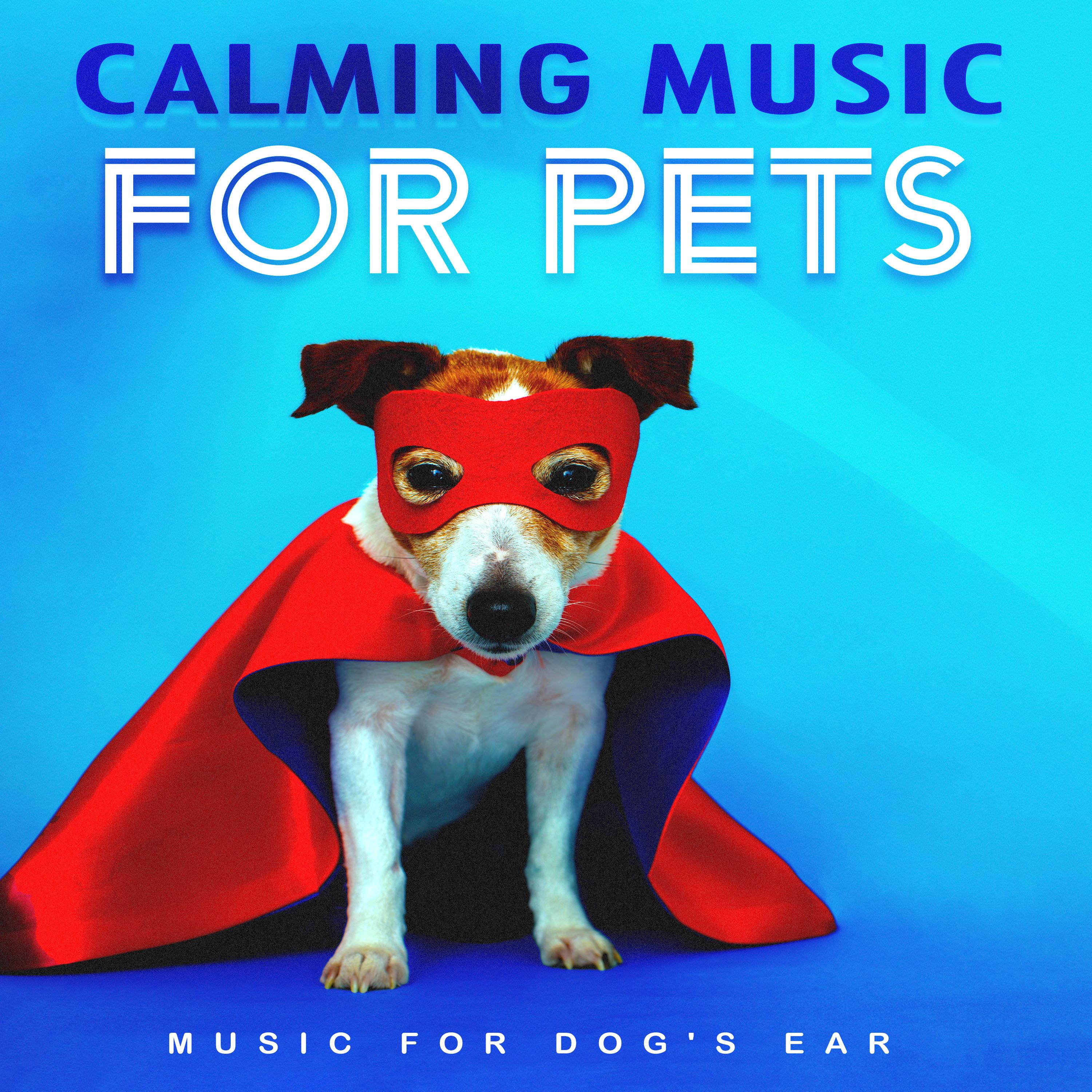 Calming Music for Pets - Music for Dog's Ear - 专辑 - 网易云音乐