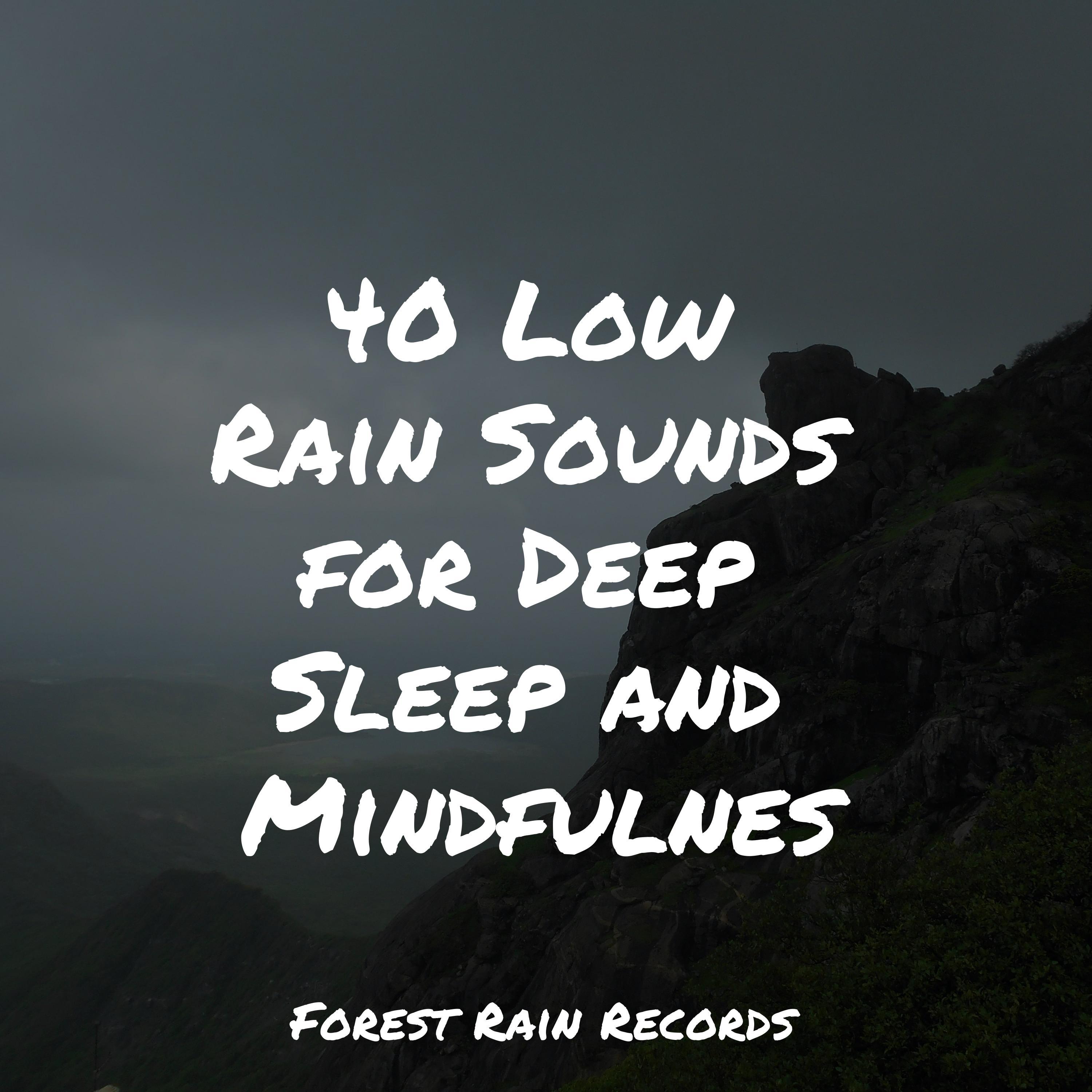 Stormy, Rainy Night - The Rain Library/Massage Music/Water Soundscapes ...