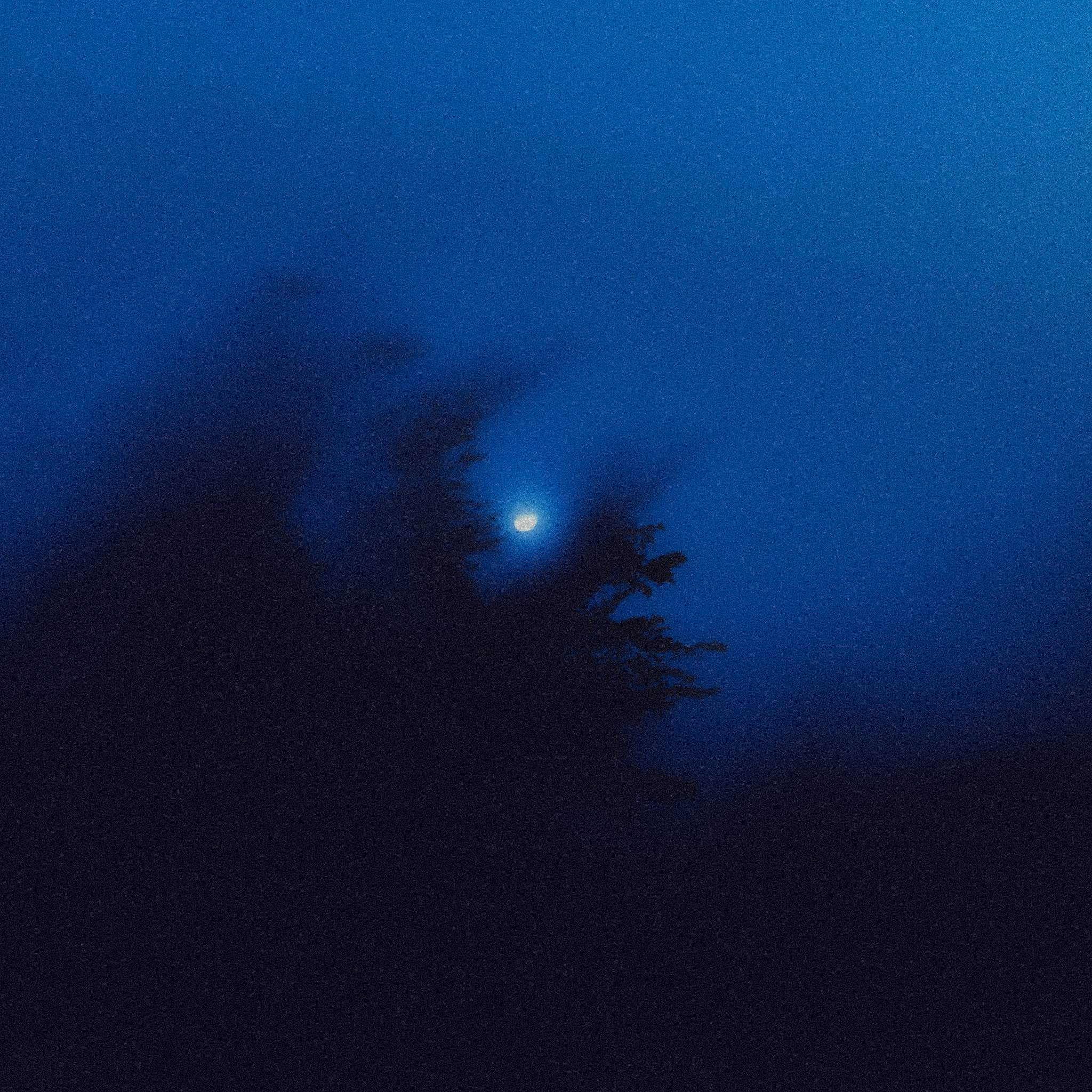 shades of doubt - Cozy - 专辑 - 网易云音乐