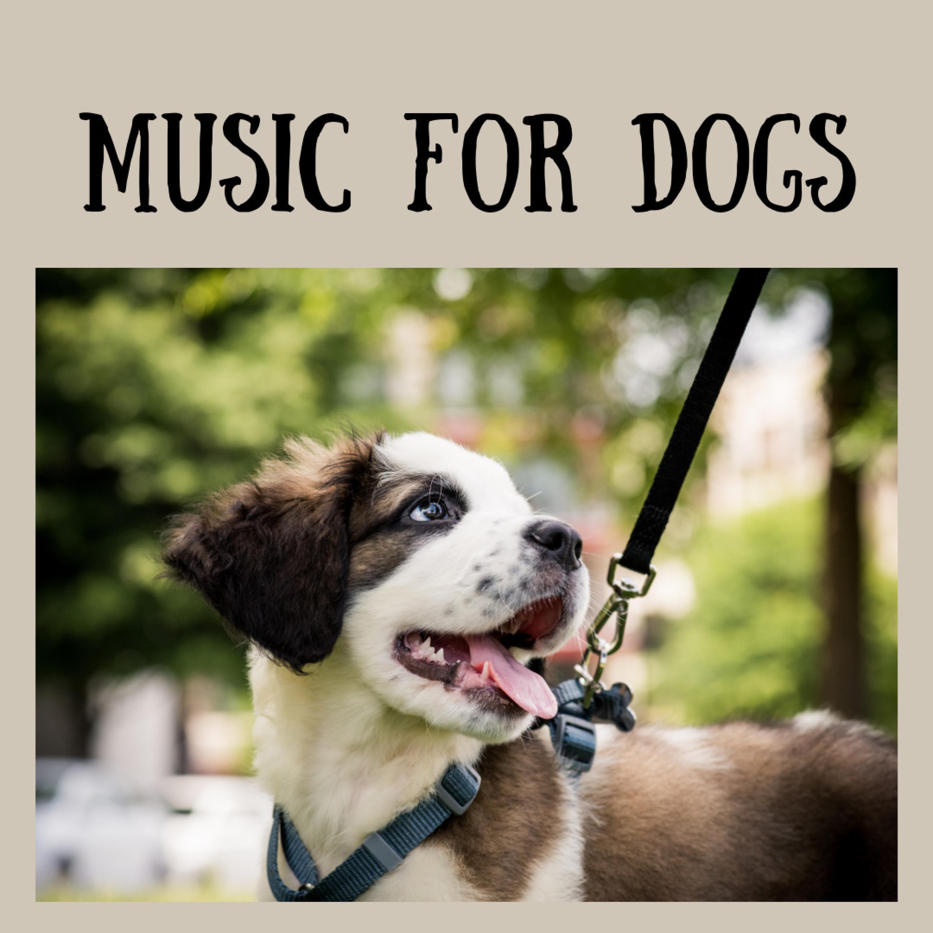 Chill Sleep Vibes - Music For Dogs/Music For Dogs Peace/Relaxing Puppy ...