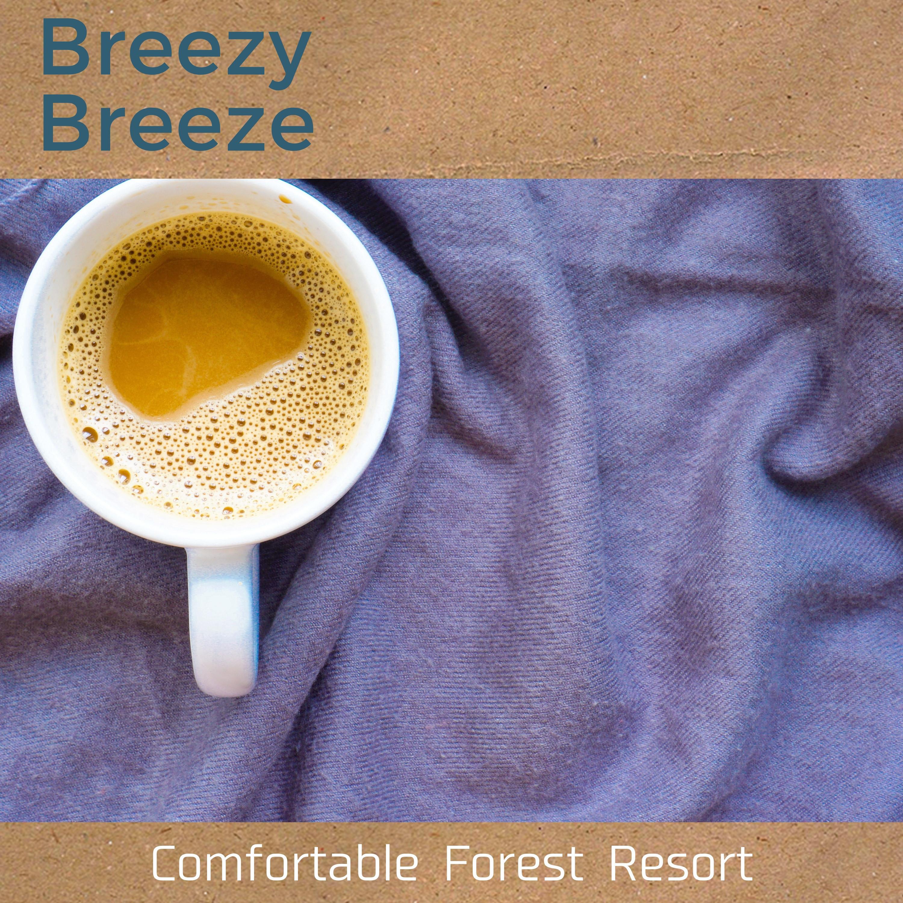 Cherry Coffeecake - Breezy Breeze - 单曲 - 网易云音乐