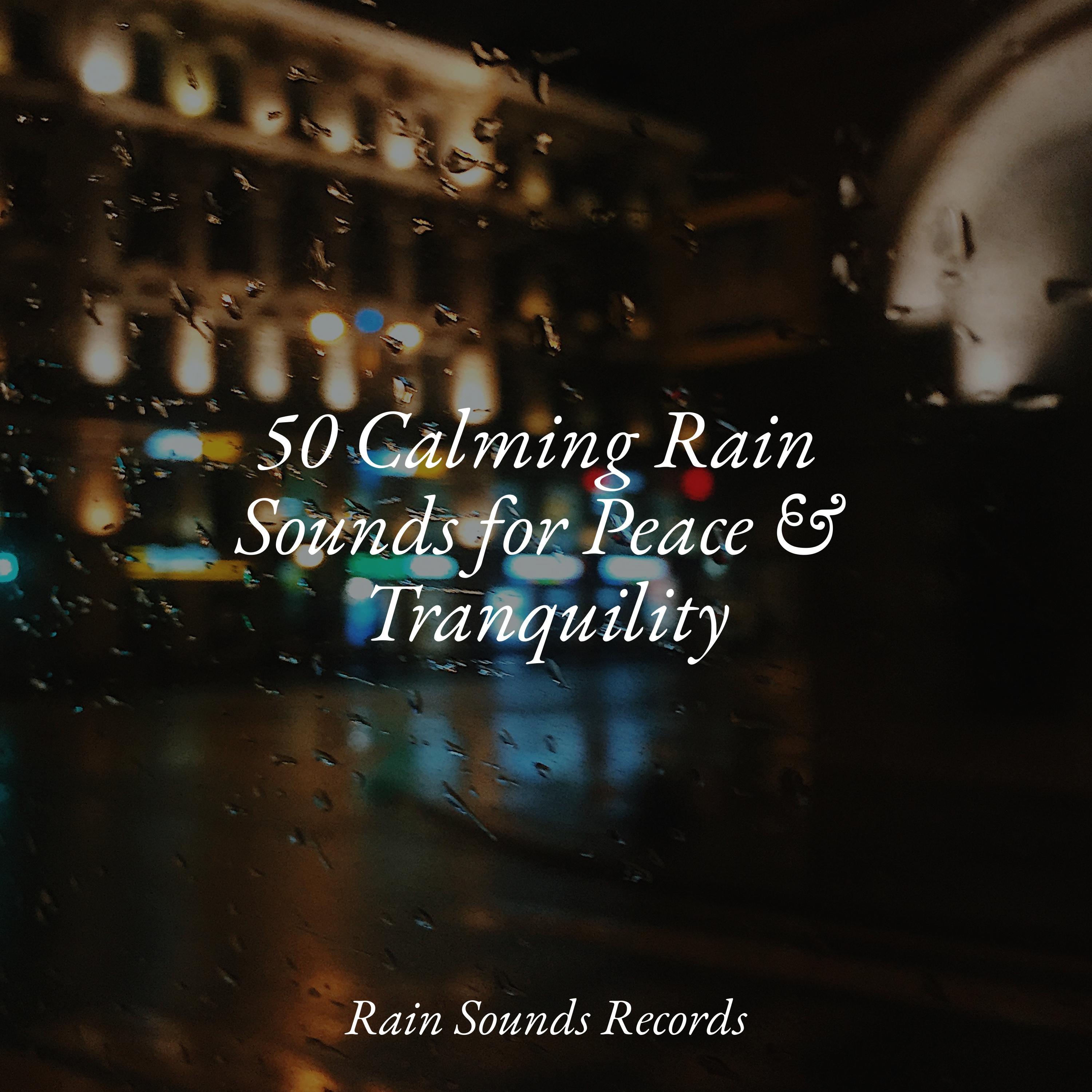 Meadow, Daytime Cicadas, Brook - Rising Higher Meditation/Canciones de ...