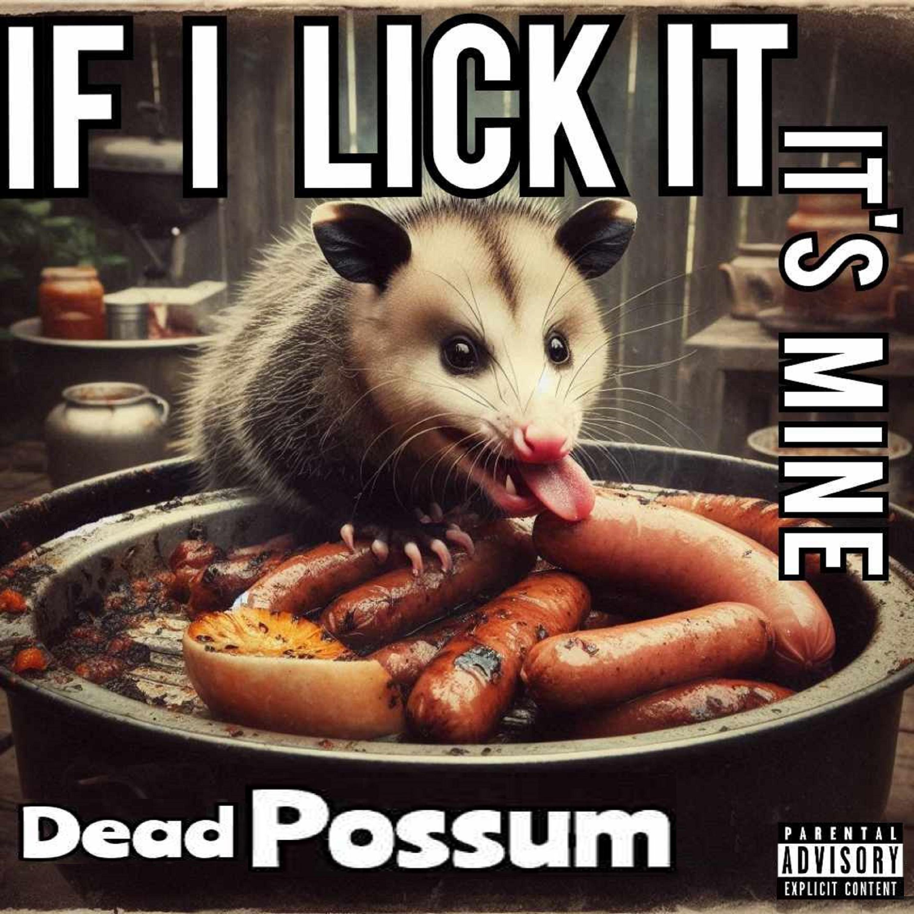 Ten Feet Under a Whiskey Barrell - Dead possum - 单曲 - 网易云音乐