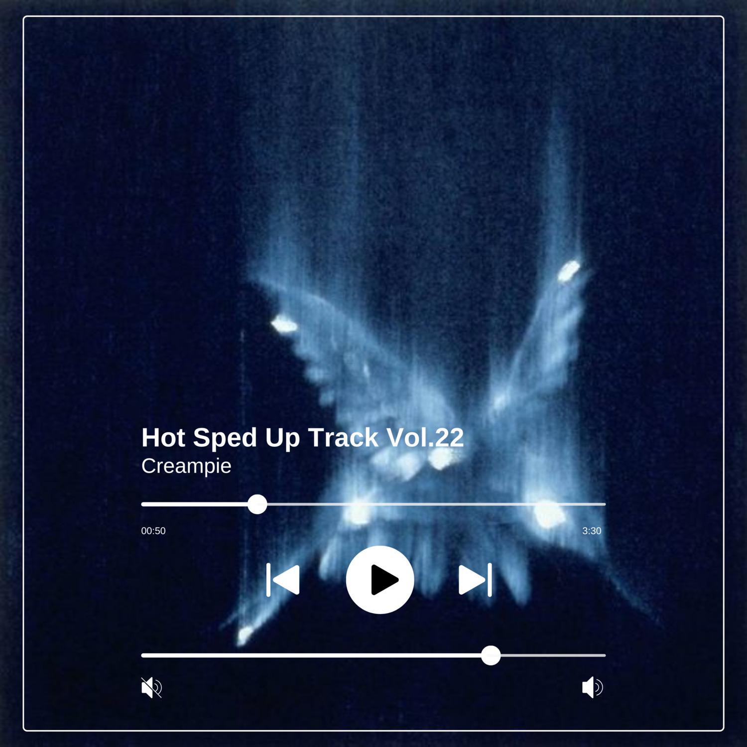 Hot Sped Up Track Vol.22 (sped up) - Cream Pie - 专辑 - 网易云音乐