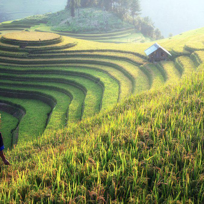 hjhg cvbcvb - 晶晶 - 单曲 - 网易云音乐