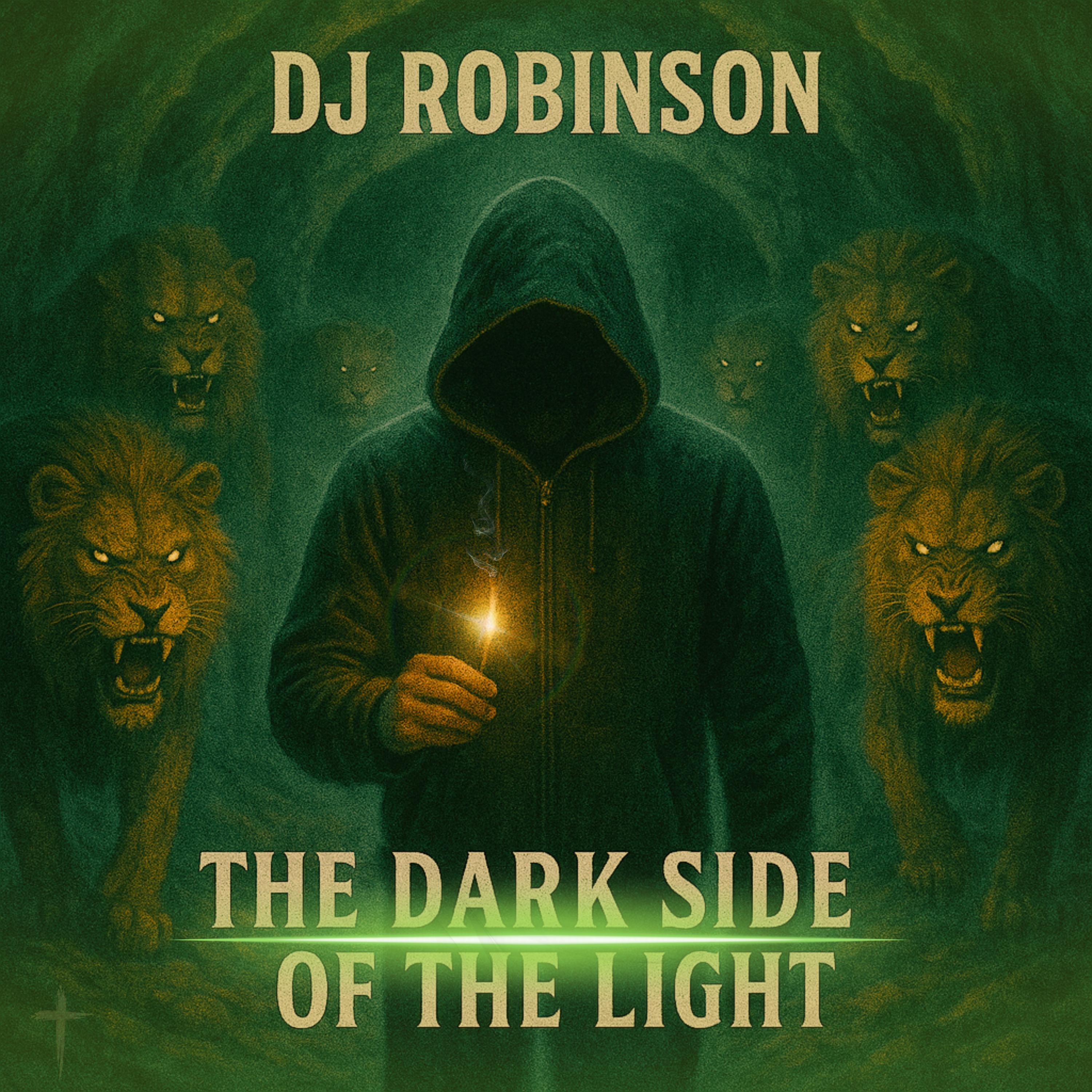 Stranger Things - DJ Robinson - 单曲 - 网易云音乐