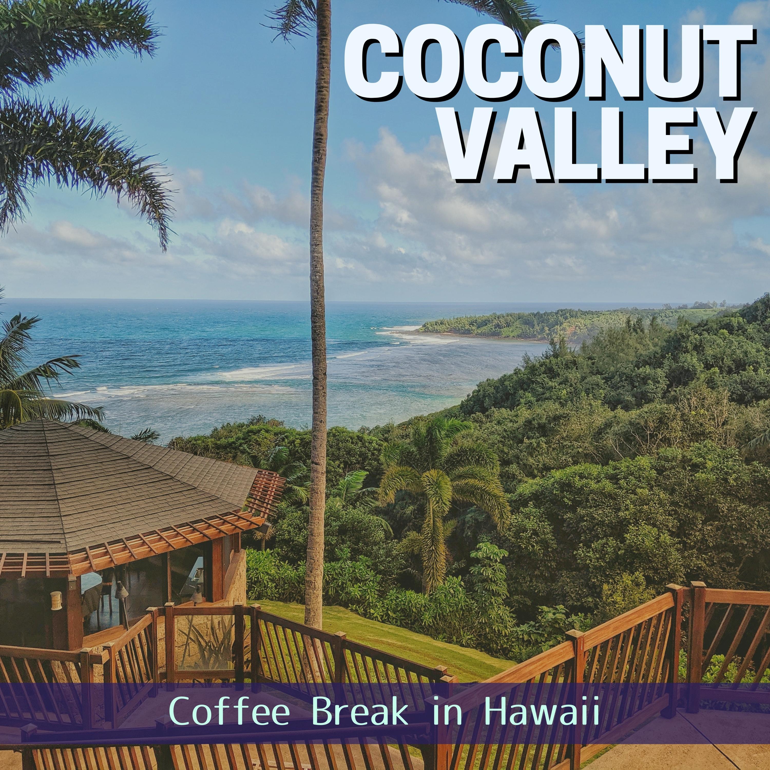 Secret of the Mermaid - Coconut Valley - 单曲 - 网易云音乐