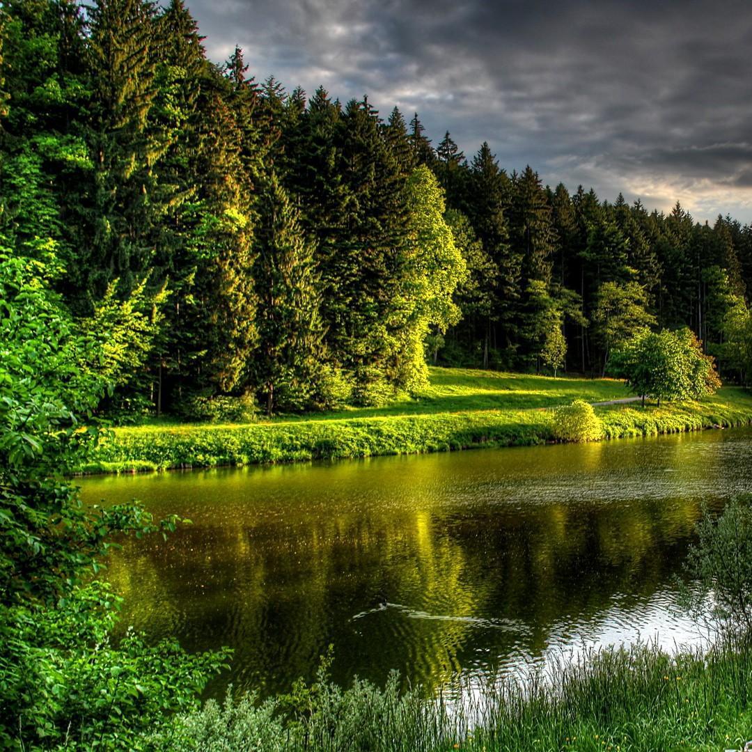 特列克-Tilek - 歌手 - 网易云音乐