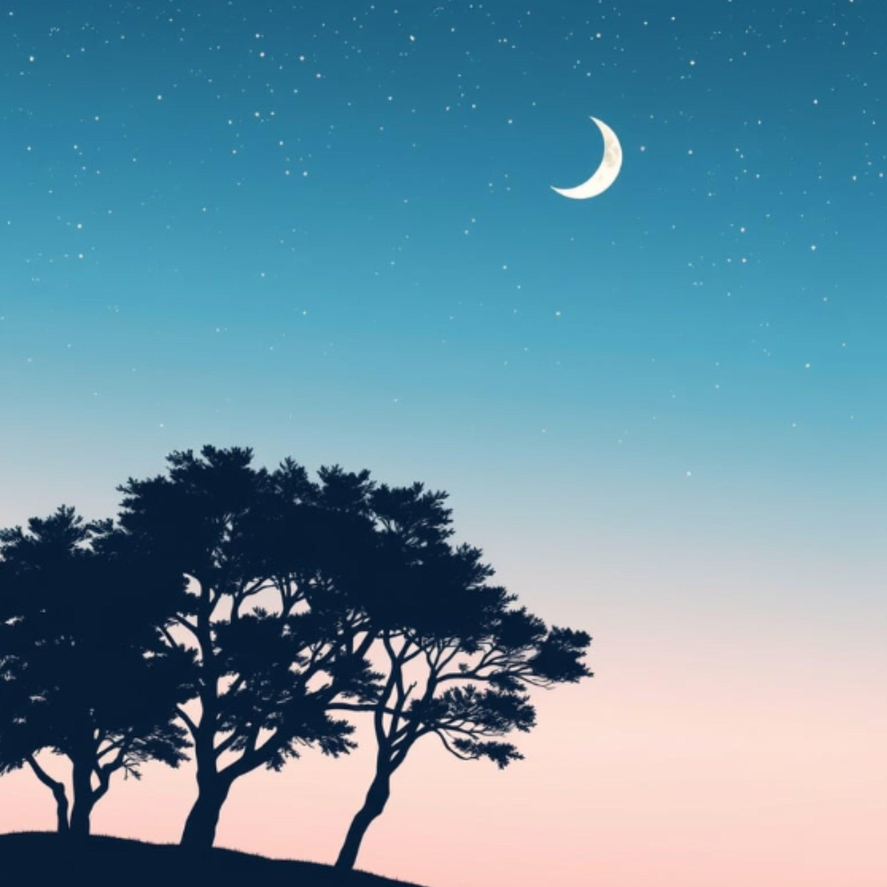 Muffled Beats for Calm - Brainwave Binaural System/Sleep Music Universe ...