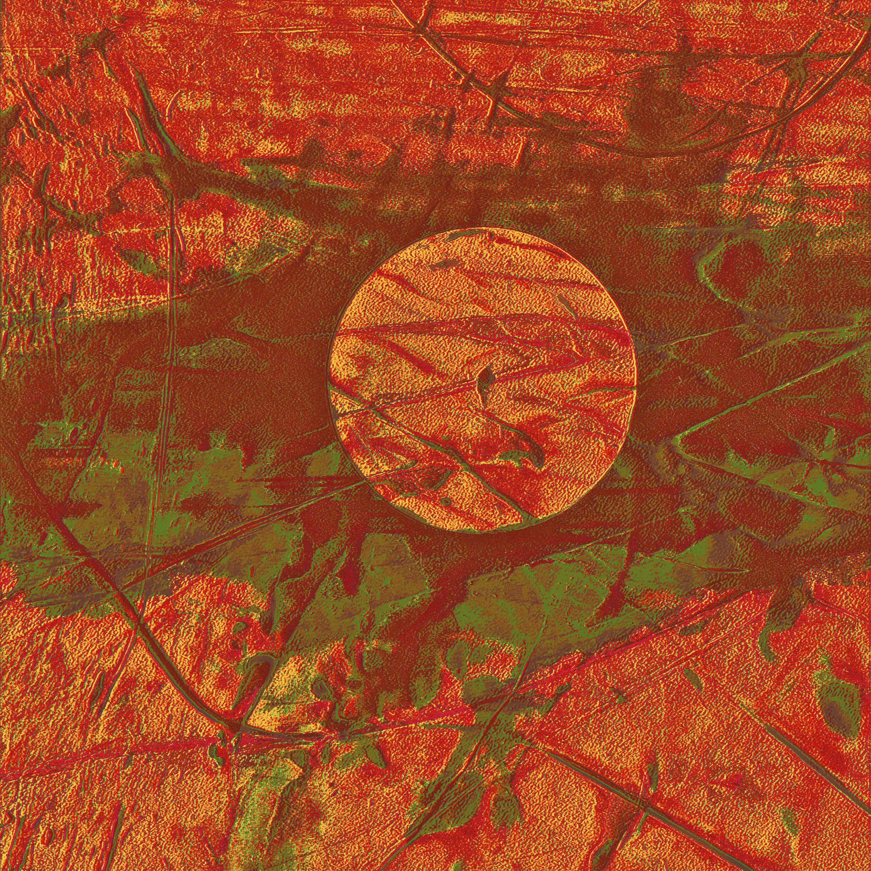 simpleton - grim spectre - 单曲 - 网易云音乐