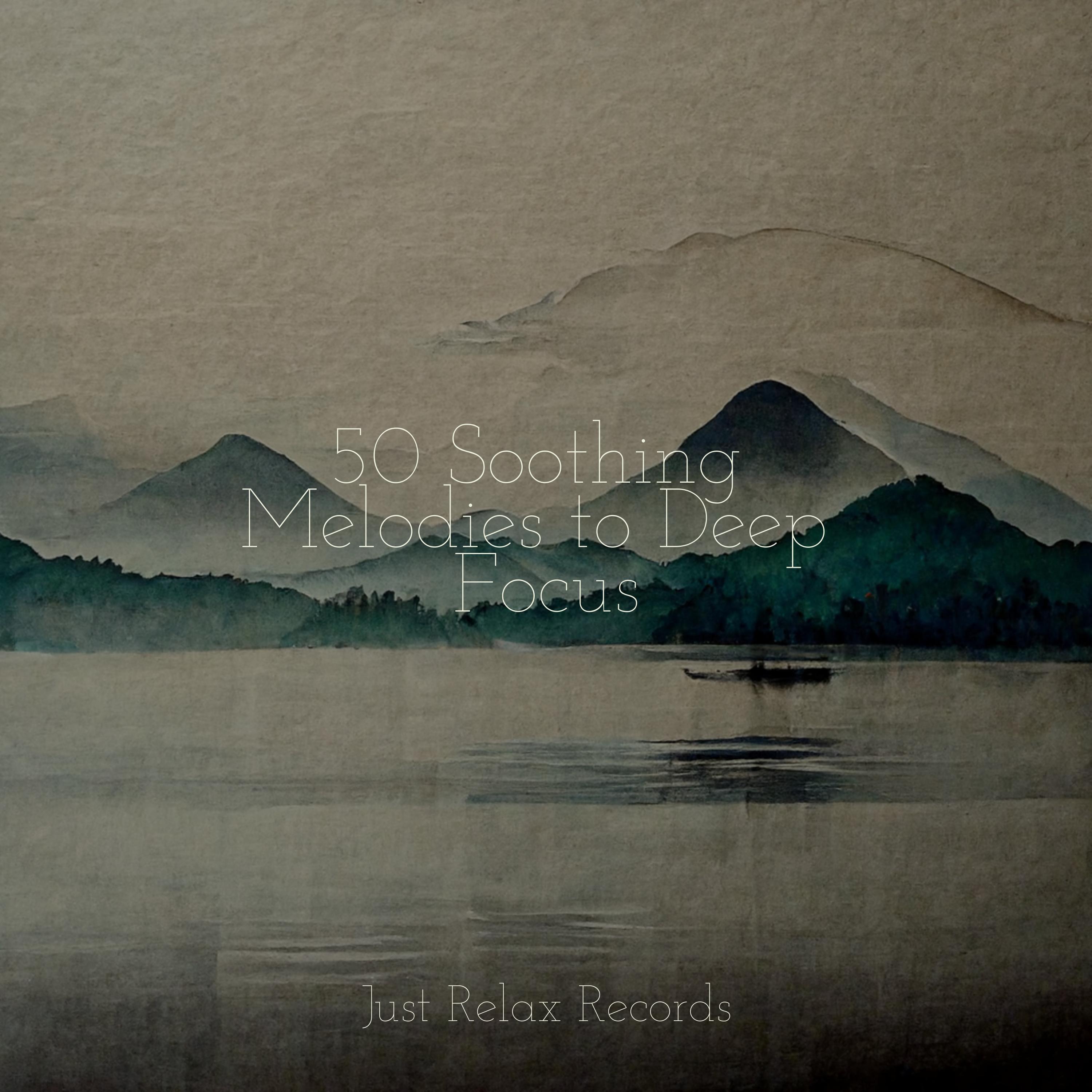 50 Soothing Melodies to Deep Focus - Happy Baby Lullaby Collection - 专辑 ...