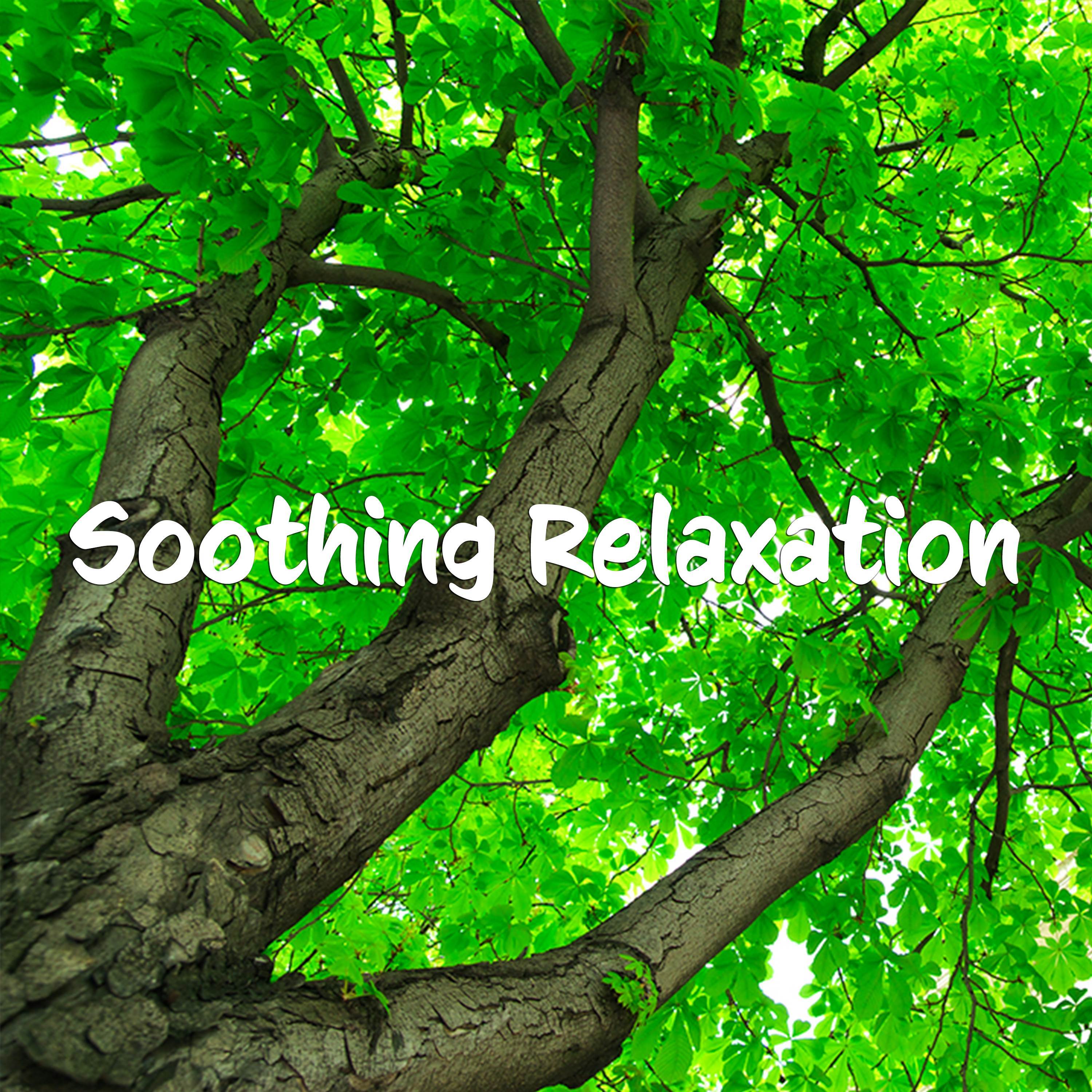 Beautiful Relaxing Music for Stress Relief - Soothing Relaxing Melody ...