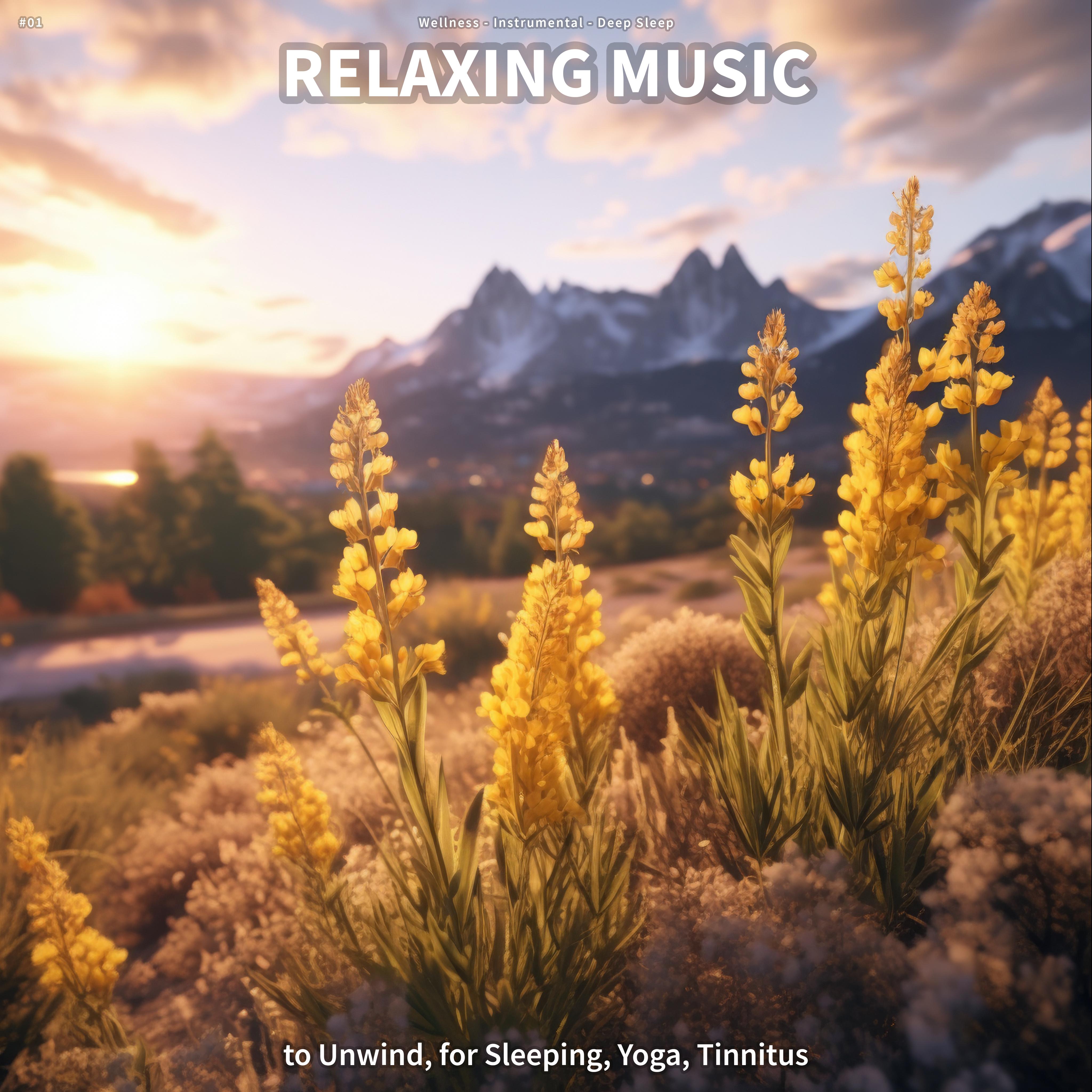 Slow Music - Wellness/Instrumental/Deep Sleep - 单曲 - 网易云音乐