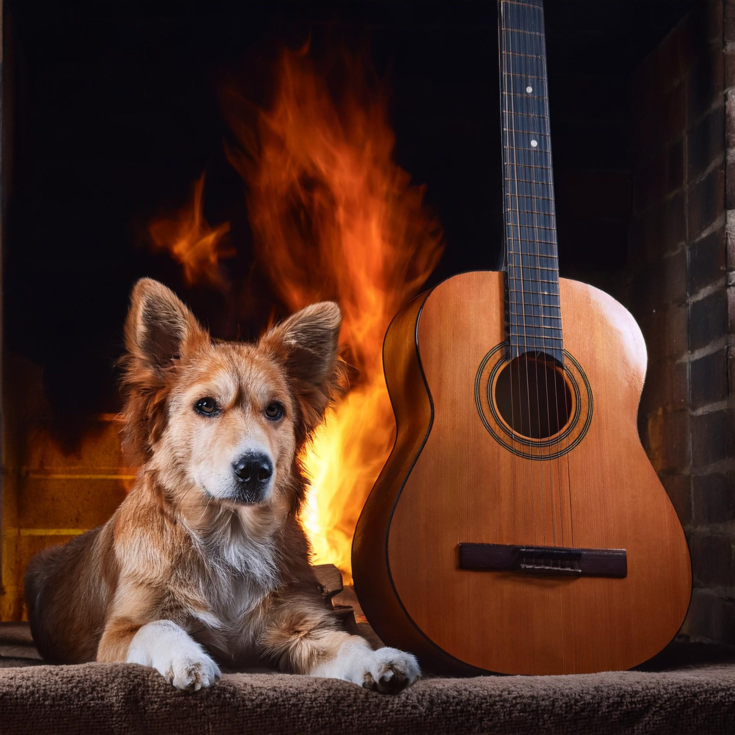 Canine Campfire Strums - Warm Melodies/Doggy Relaxing Sounds/Some ...