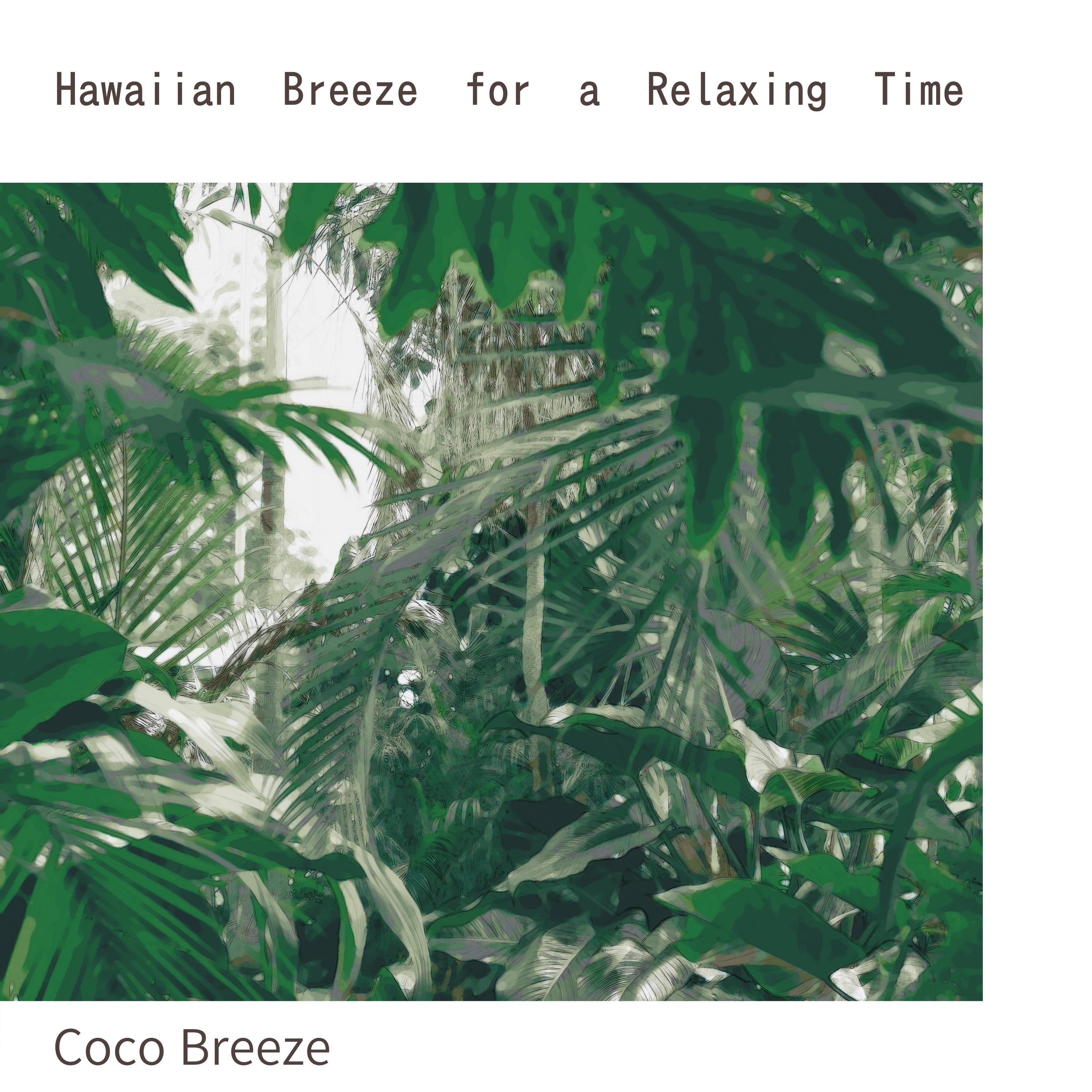 Hawaiian Breeze for a Relaxing Time - Coco Breeze - 专辑 - 网易云音乐