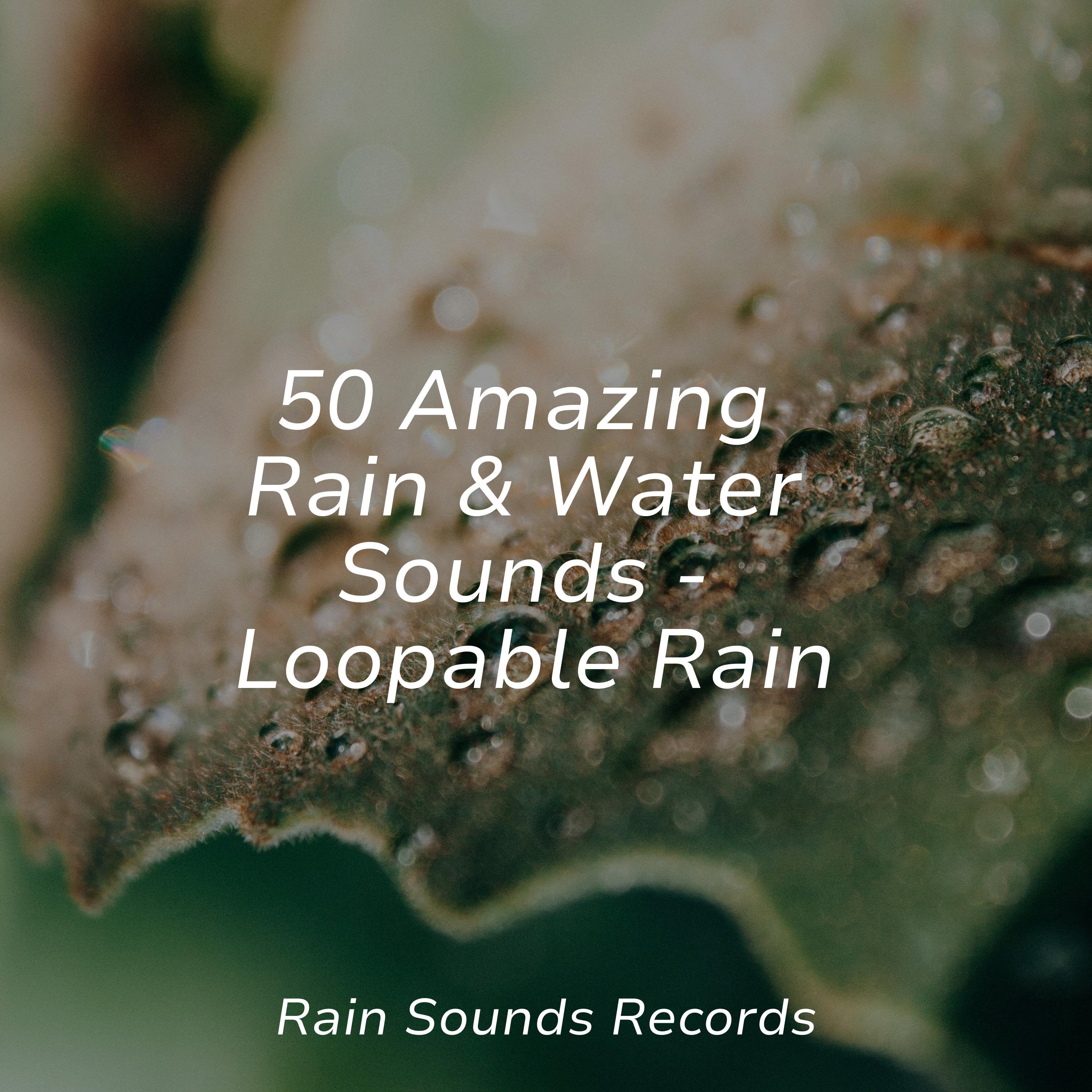Rhythmic Torrents - Nature Sound Collection/Forest Sounds/Canciones De ...