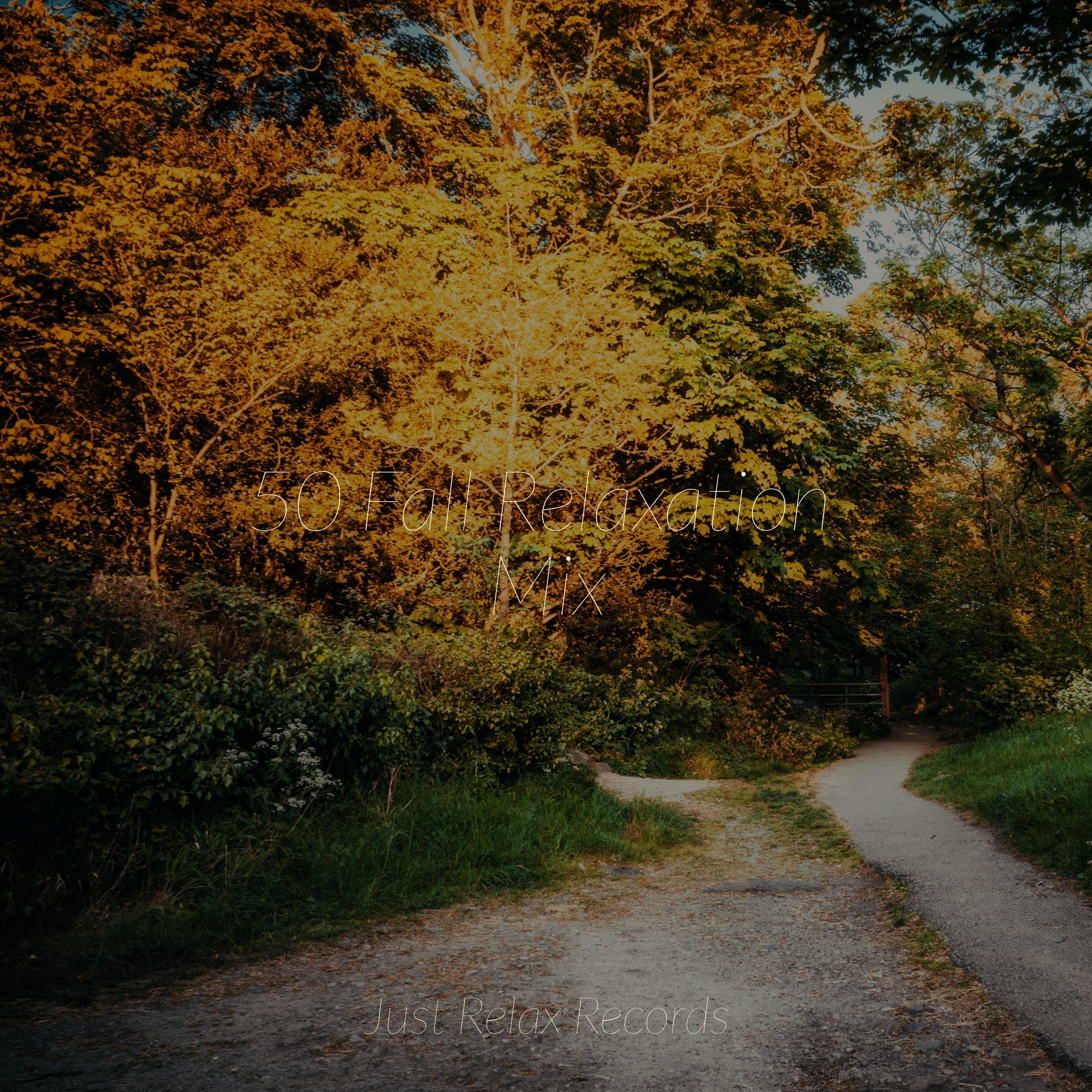 Ripple dance under moonlight - Kinderliederbande/Exam Study Classical ...