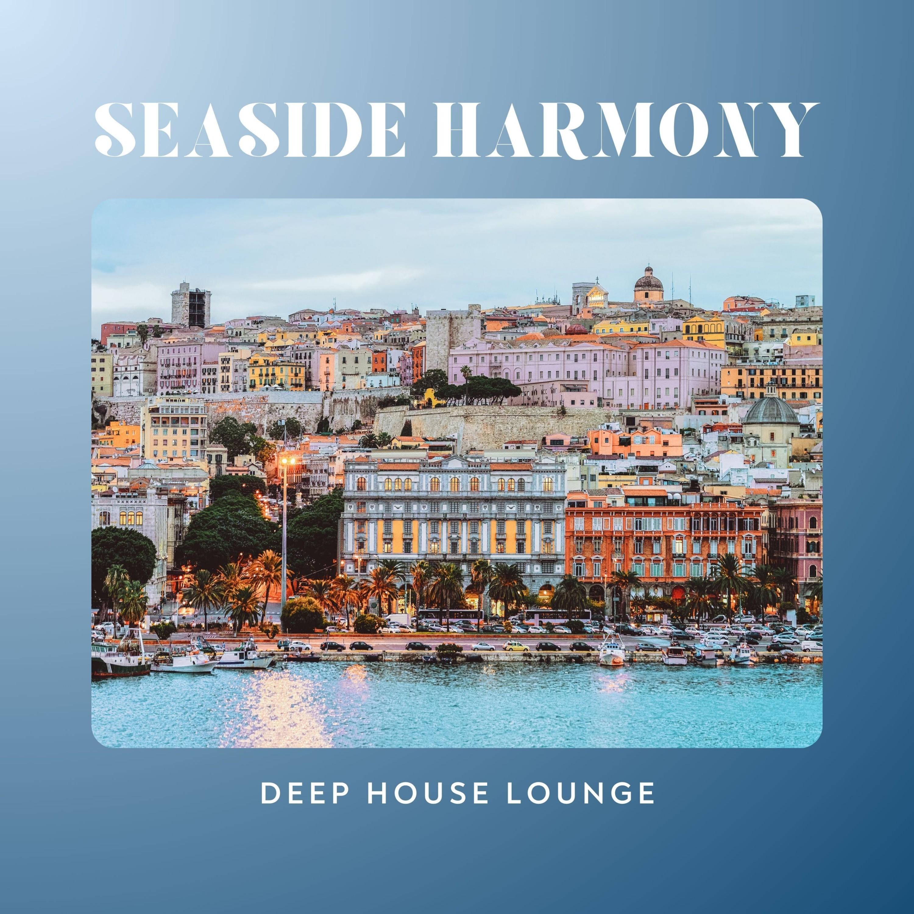Deep House - Deep House Lounge - 单曲 - 网易云音乐