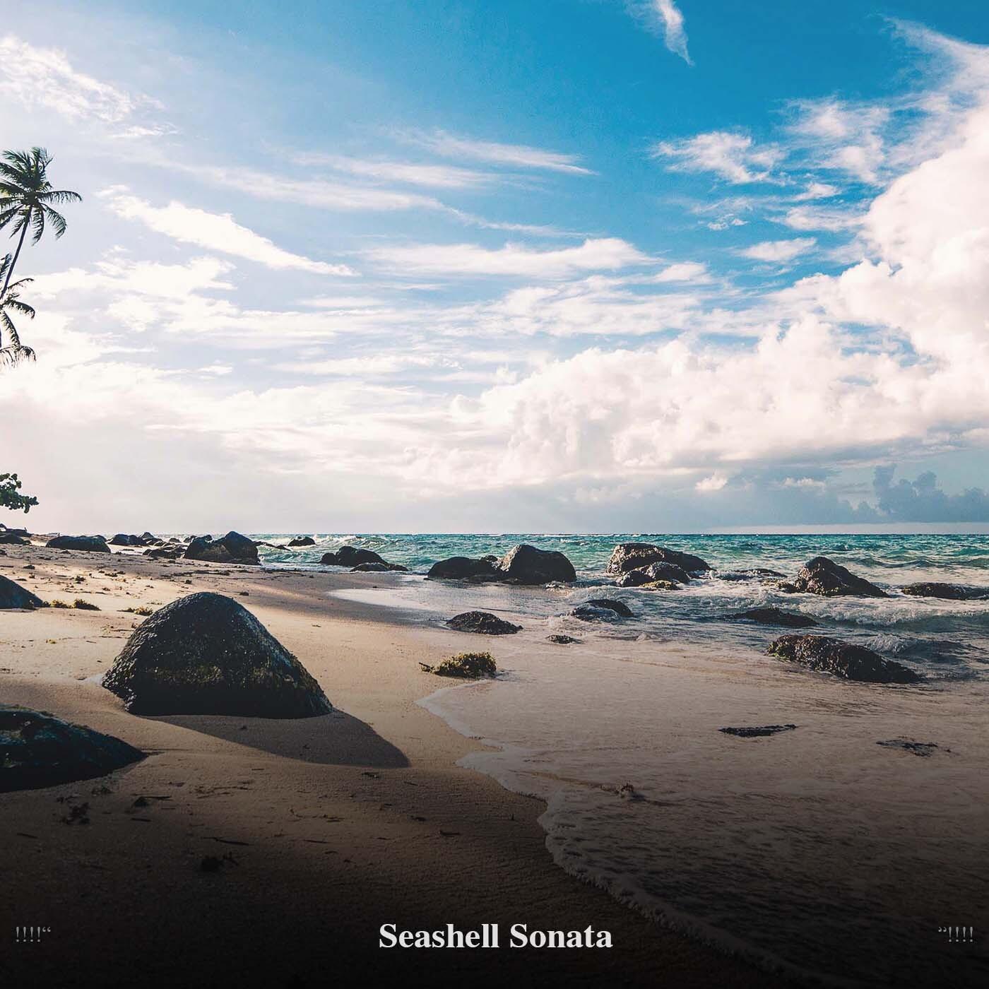 Seashell Sonata "!!!! - Ocean Sounds - 专辑 - 网易云音乐