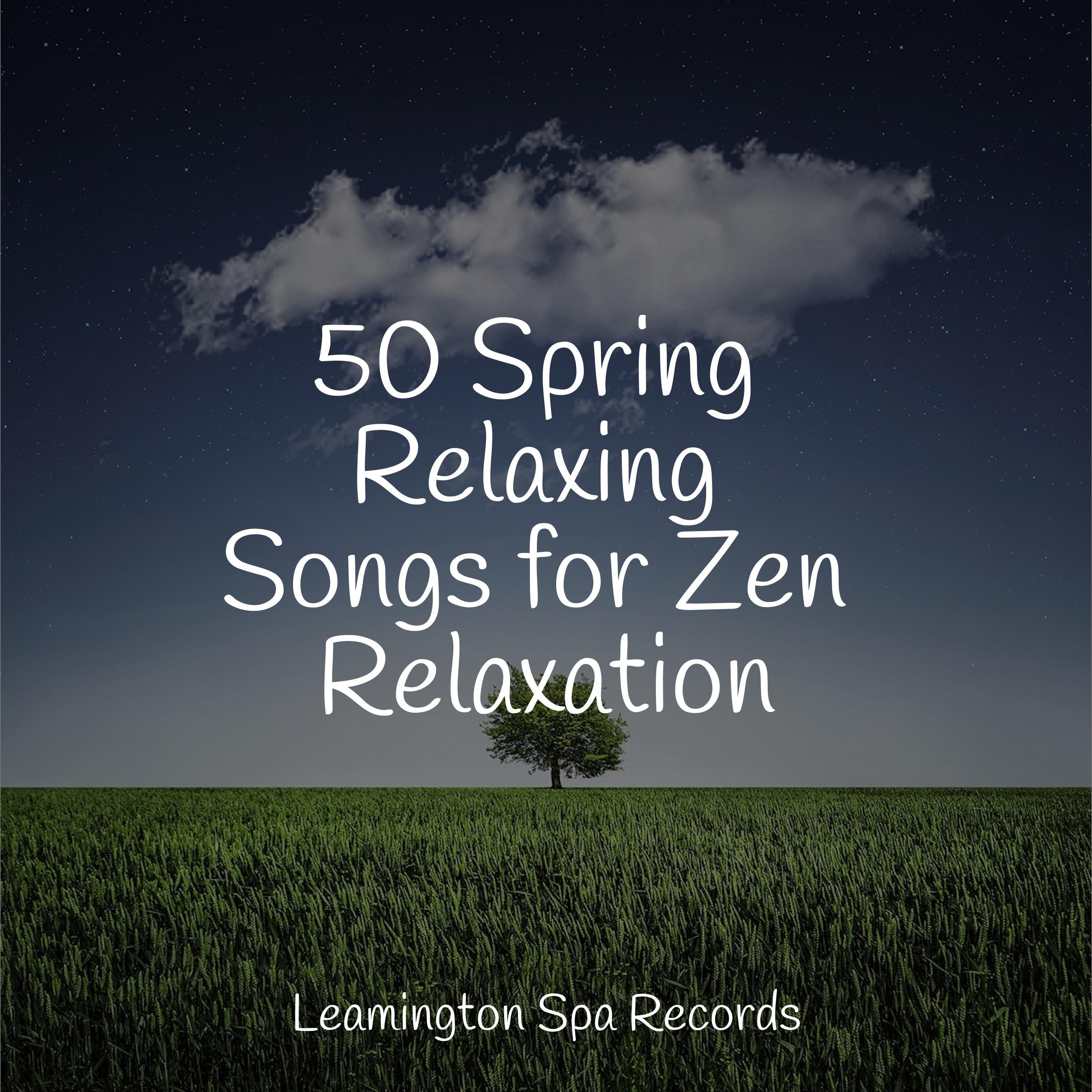 50 Spring Relaxing Songs for Zen Relaxation - Ocean Sounds - 专辑 - 网易云音乐