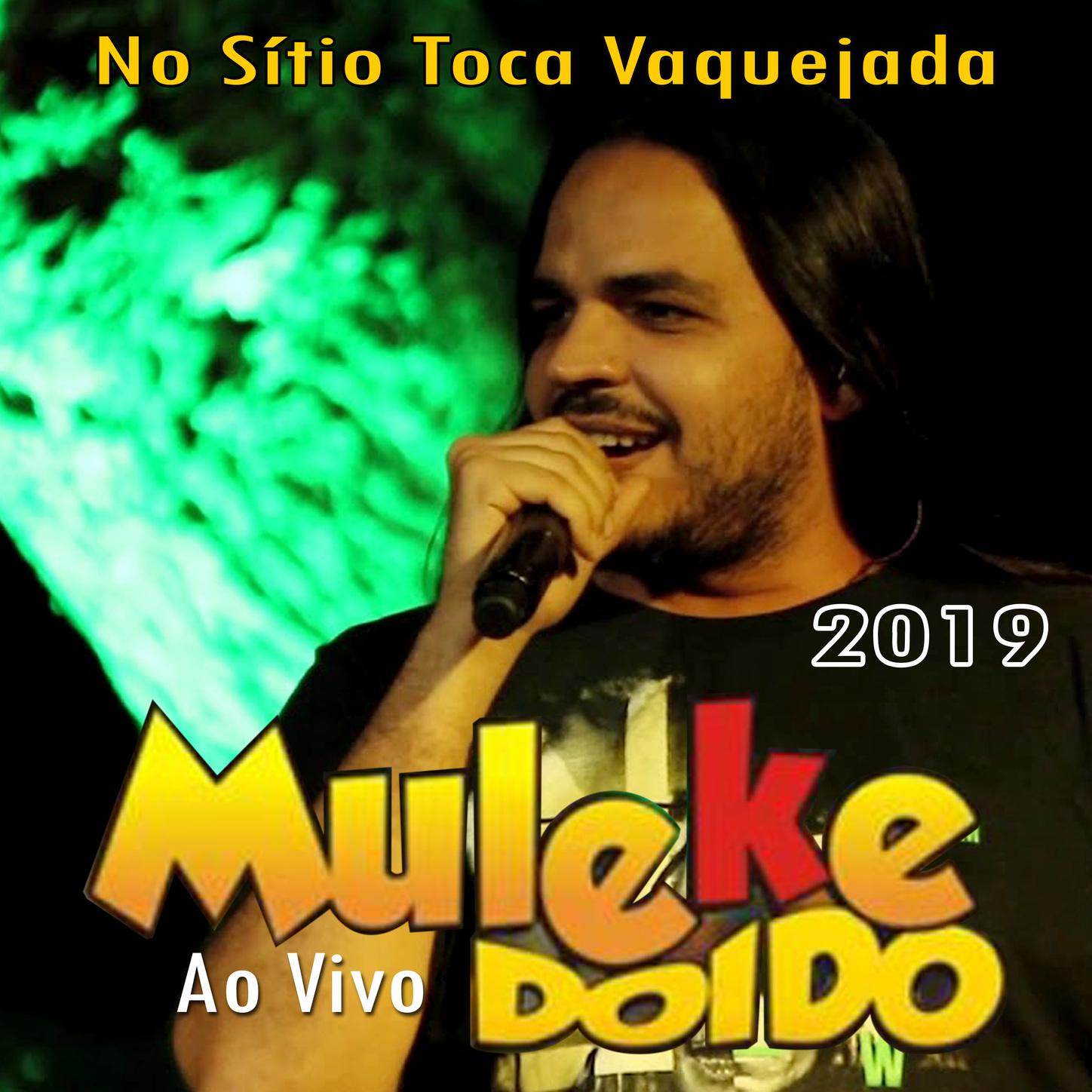 No Sítio Toca Vaquejada Ao Vivo - 2019 - Muleke Doido - 专辑 - 网易云音乐