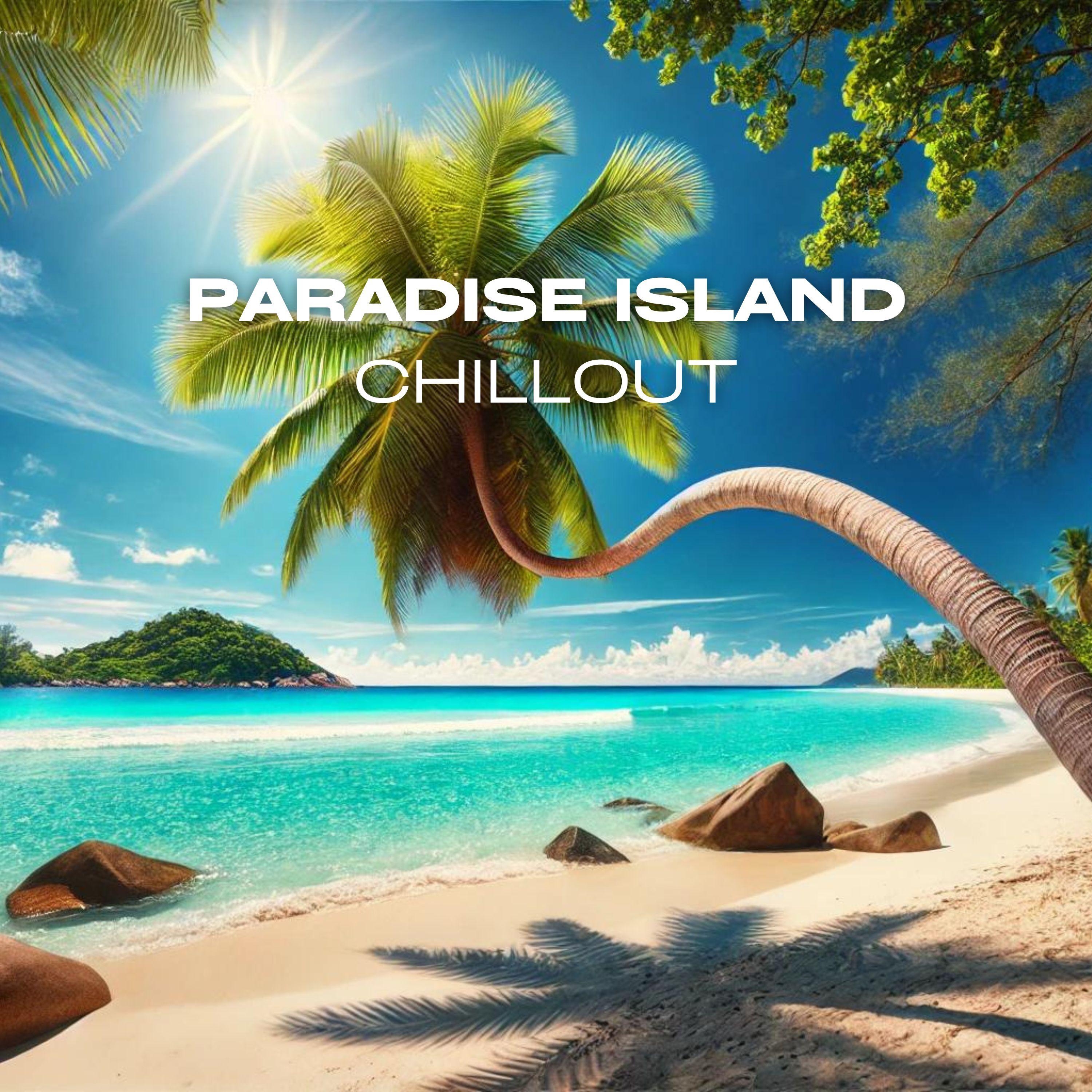 Embrace the Chill Paradise Offers - DJ Grooves del Sol - 单曲 - 网易云音乐