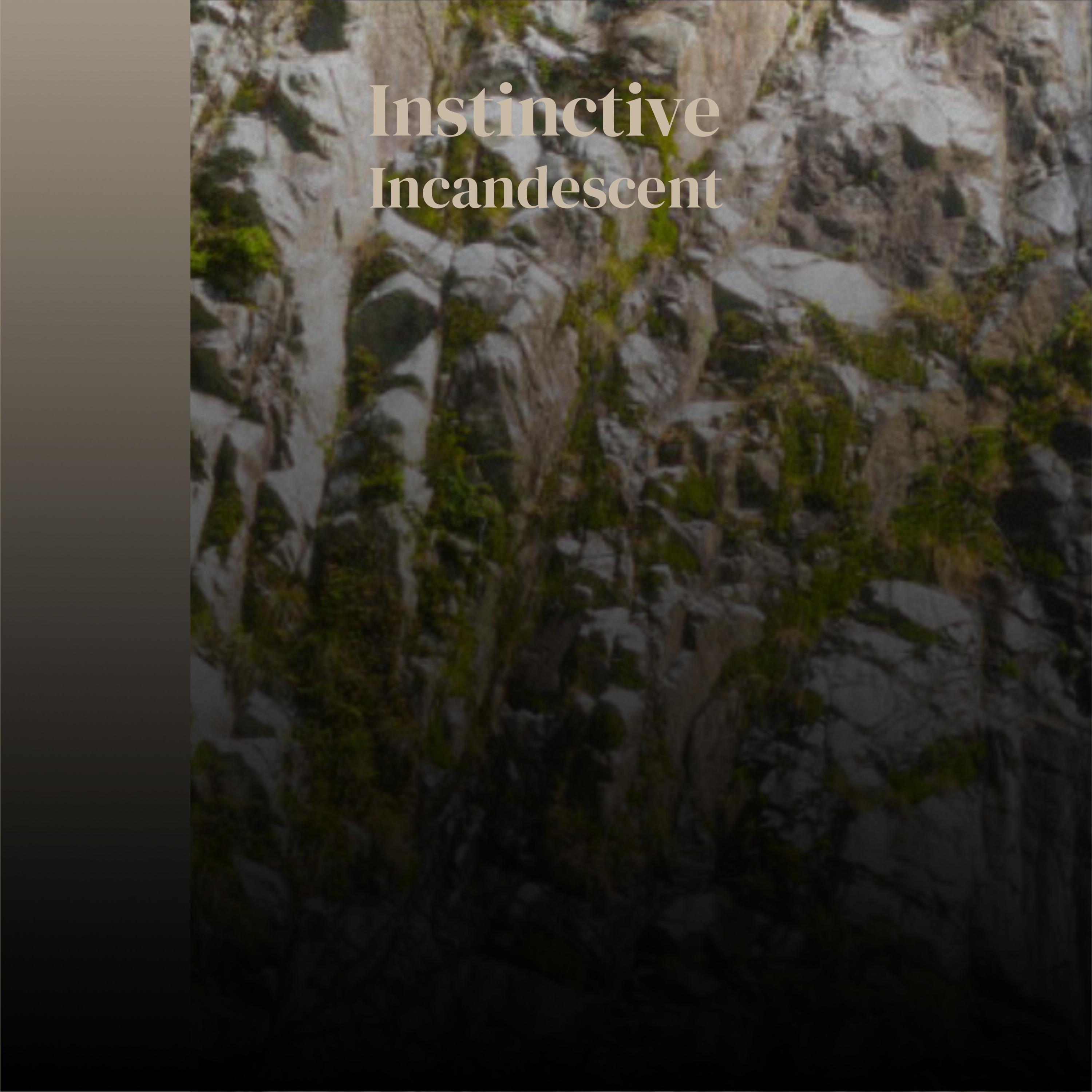 Instinctive Incandescent - Various Artists - 专辑 - 网易云音乐