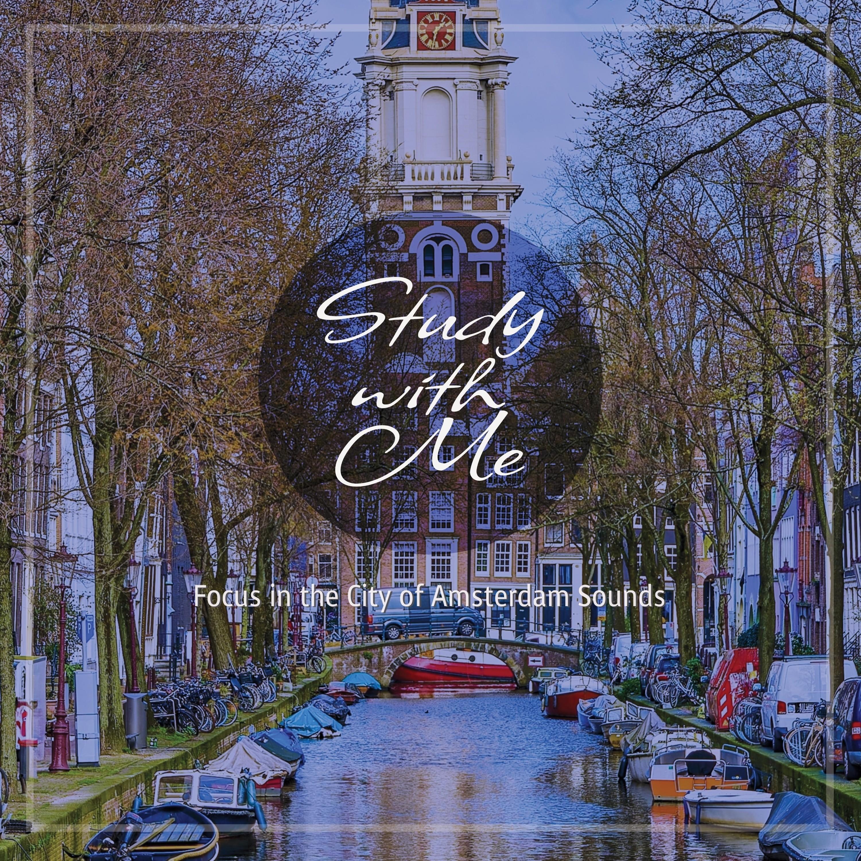Focus in the City of Amsterdam Sounds, Pt. 12 - Bryan Maxwell - 单曲 - 网易云音乐
