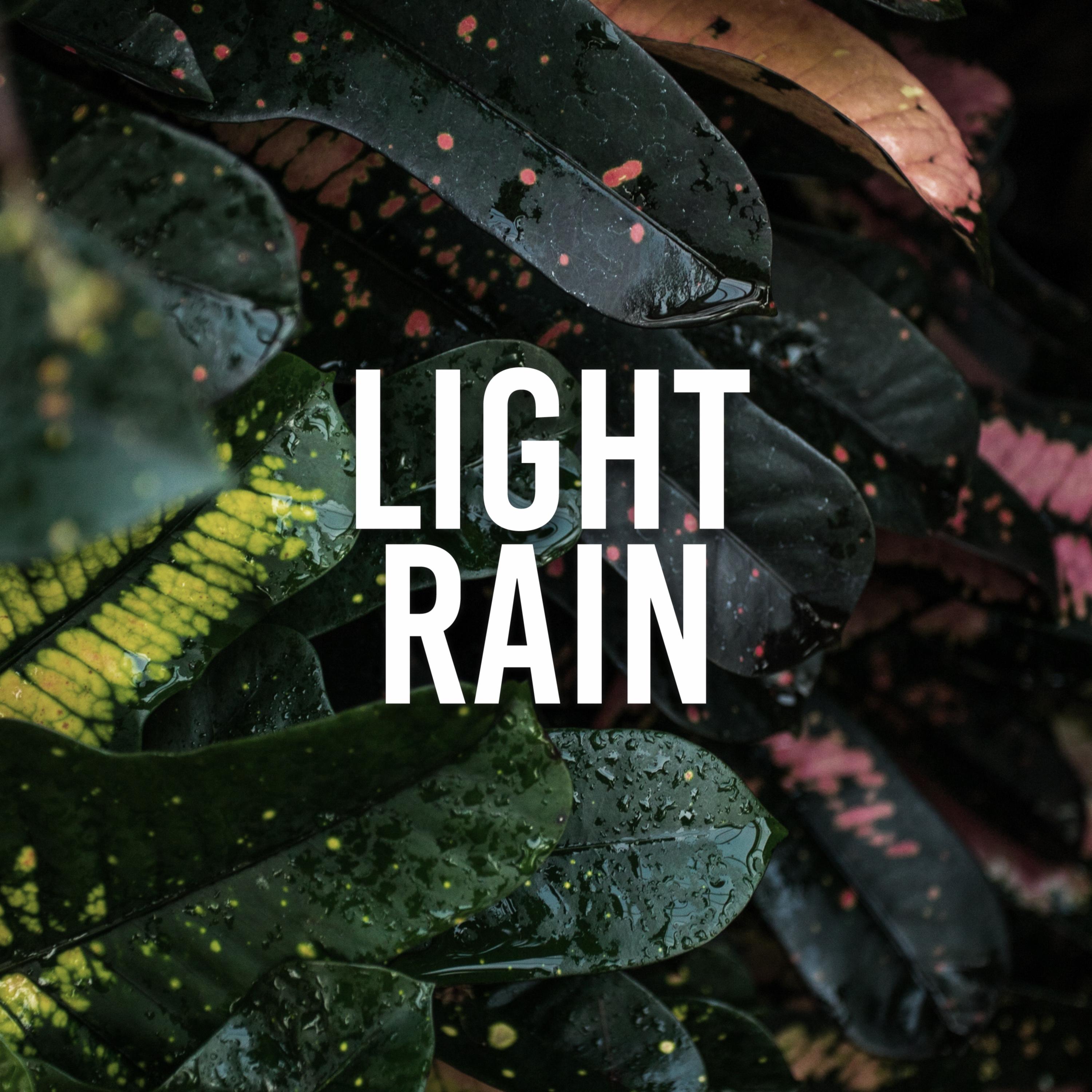Light Rain - Sleep Sounds of Nature - 专辑 - 网易云音乐
