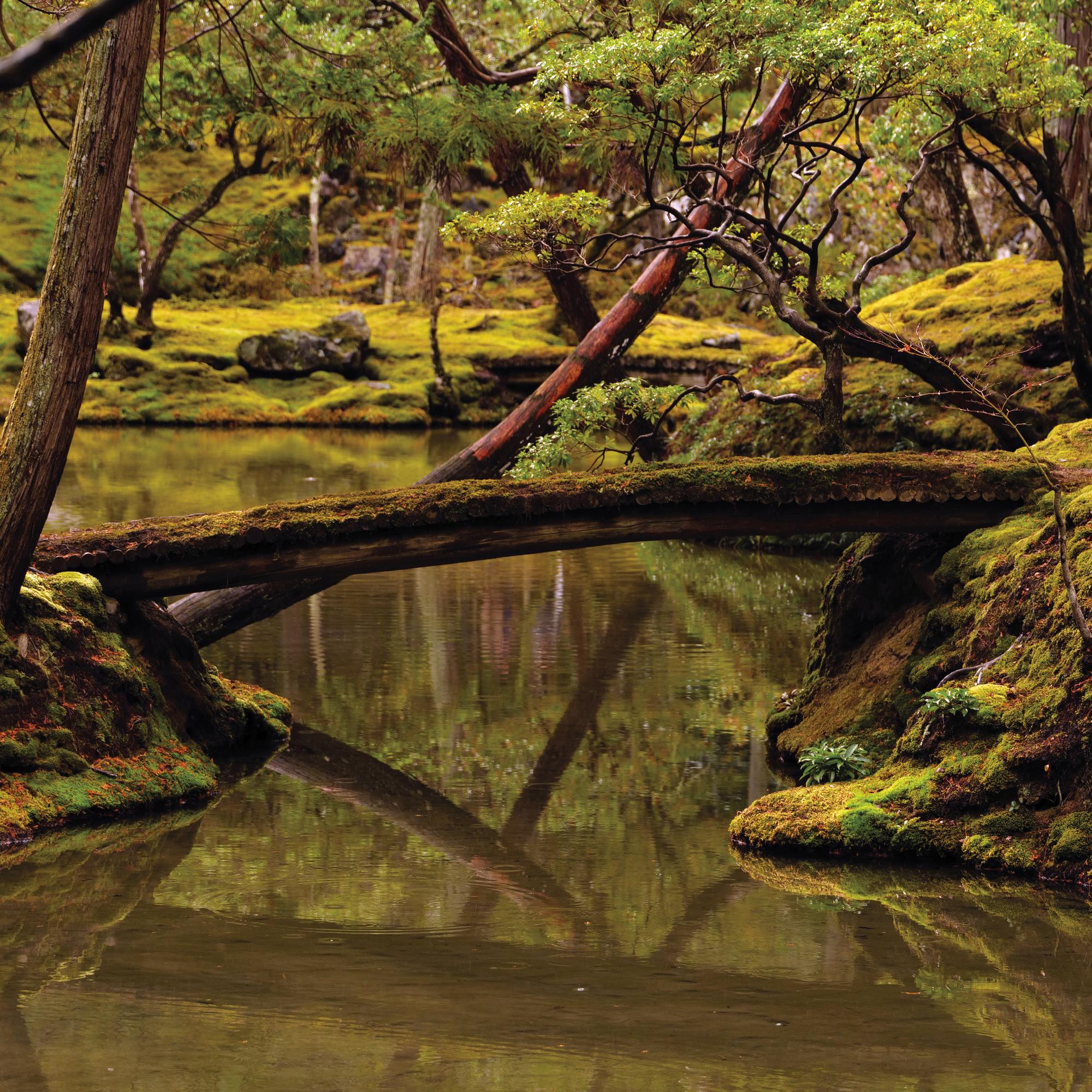 Reverie - Rebecca Foon - 专辑 - 网易云音乐