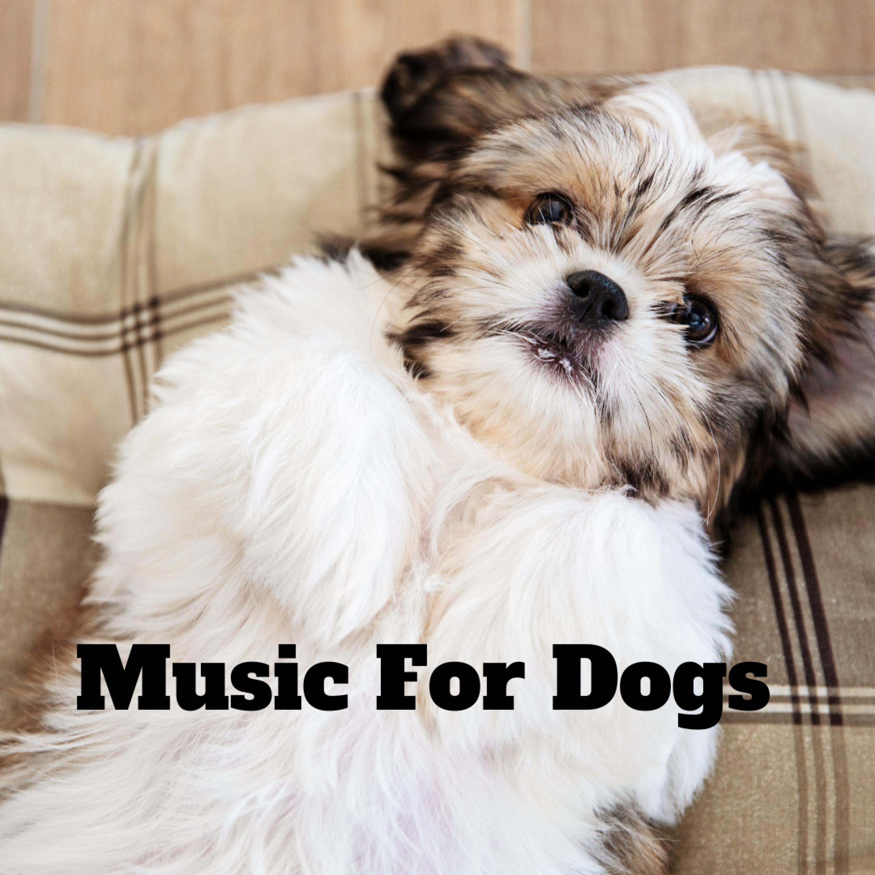 Dog Symphony - Music For Dogs/Music For Dogs Peace/Relaxing Puppy Music ...
