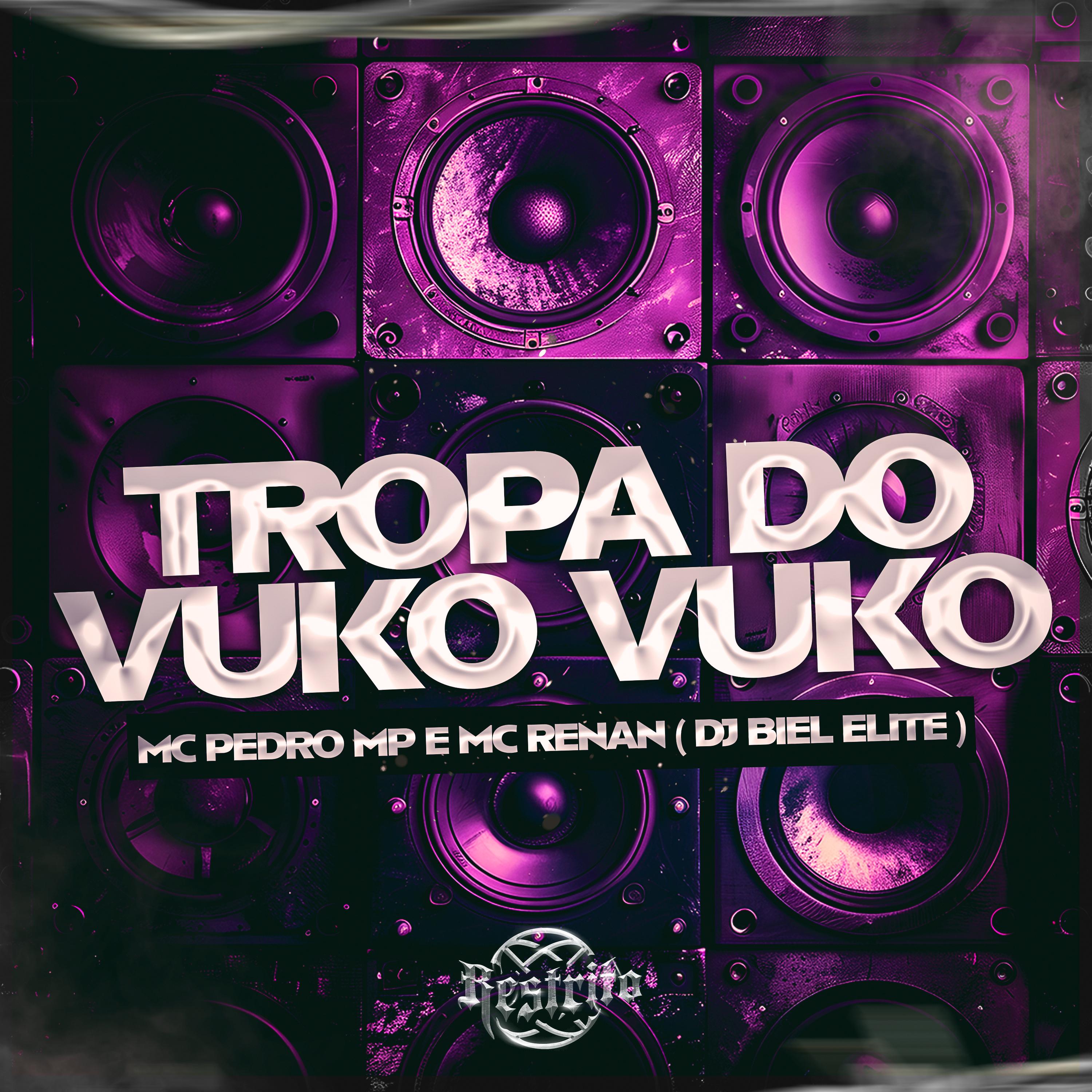 Tropa do Vuko Vuko - Mc Pedro Mp - 专辑 - 网易云音乐