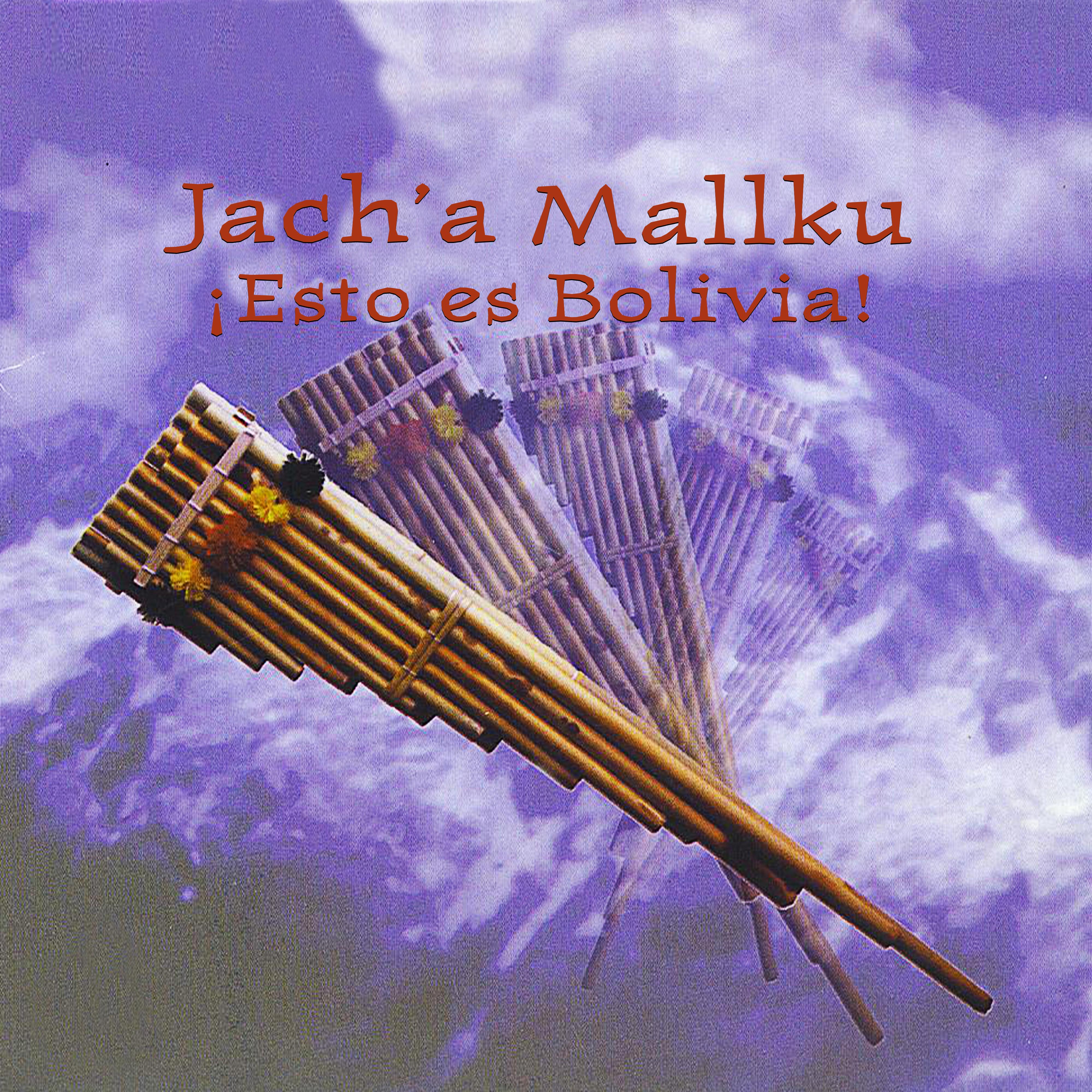 Por Tu Amor - Jach'a Mallku - 单曲 - 网易云音乐