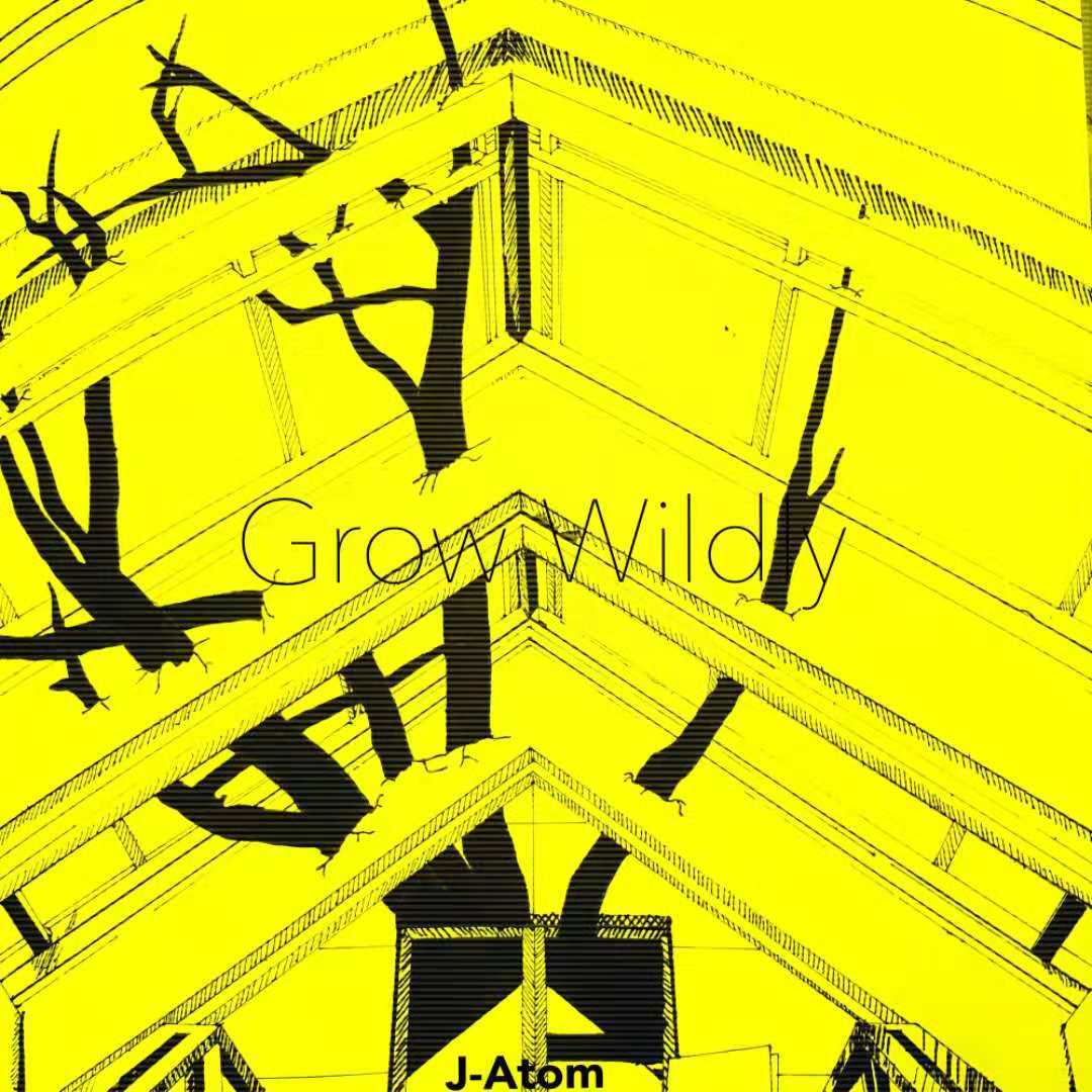 Grow Wildly - J-Atom - 专辑 - 网易云音乐