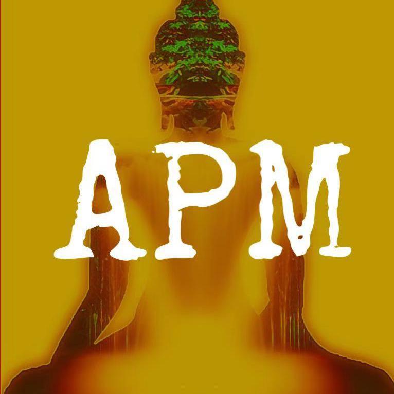 APM - 歌手 - 网易云音乐