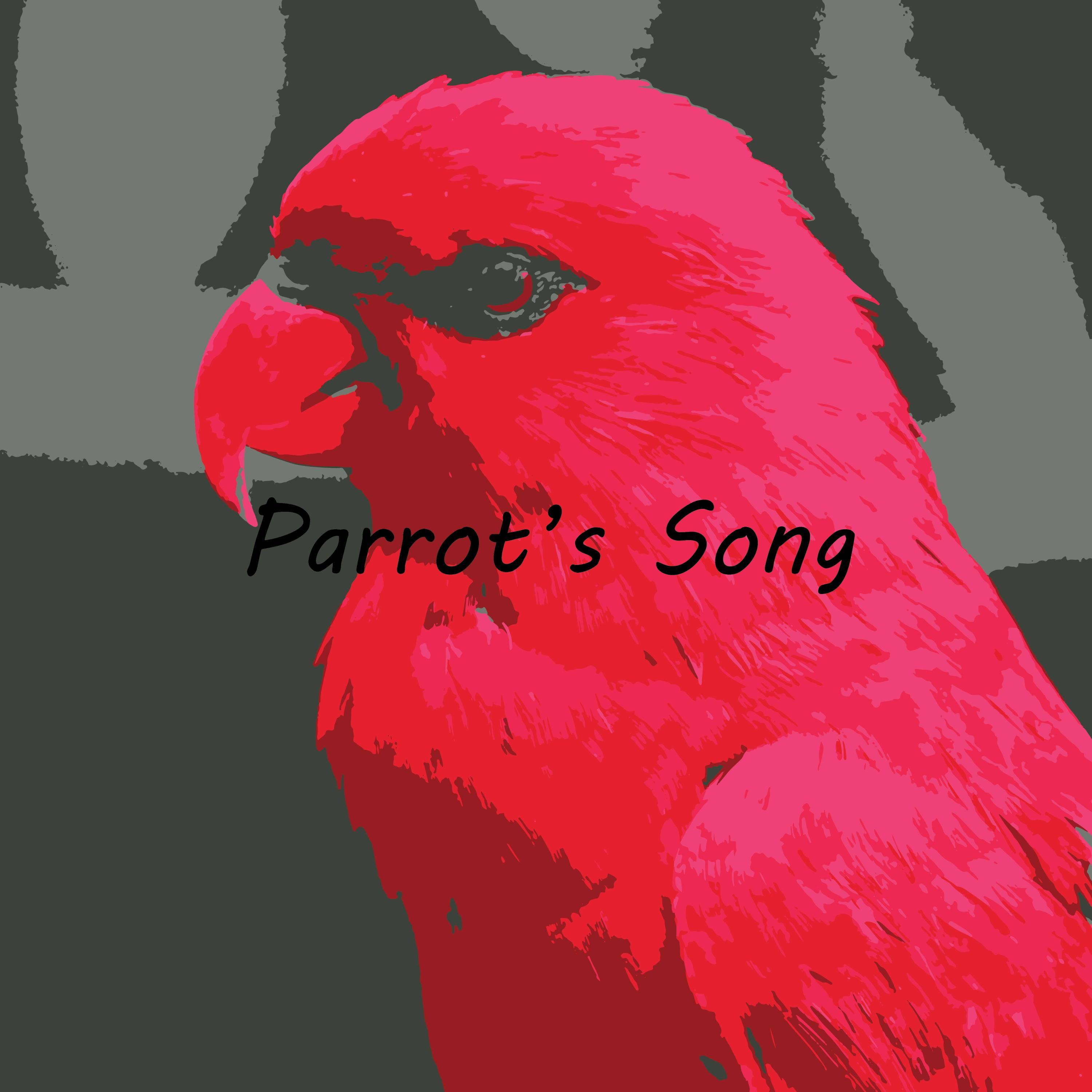 Parrot's Song - Don Aapo - 专辑 - 网易云音乐