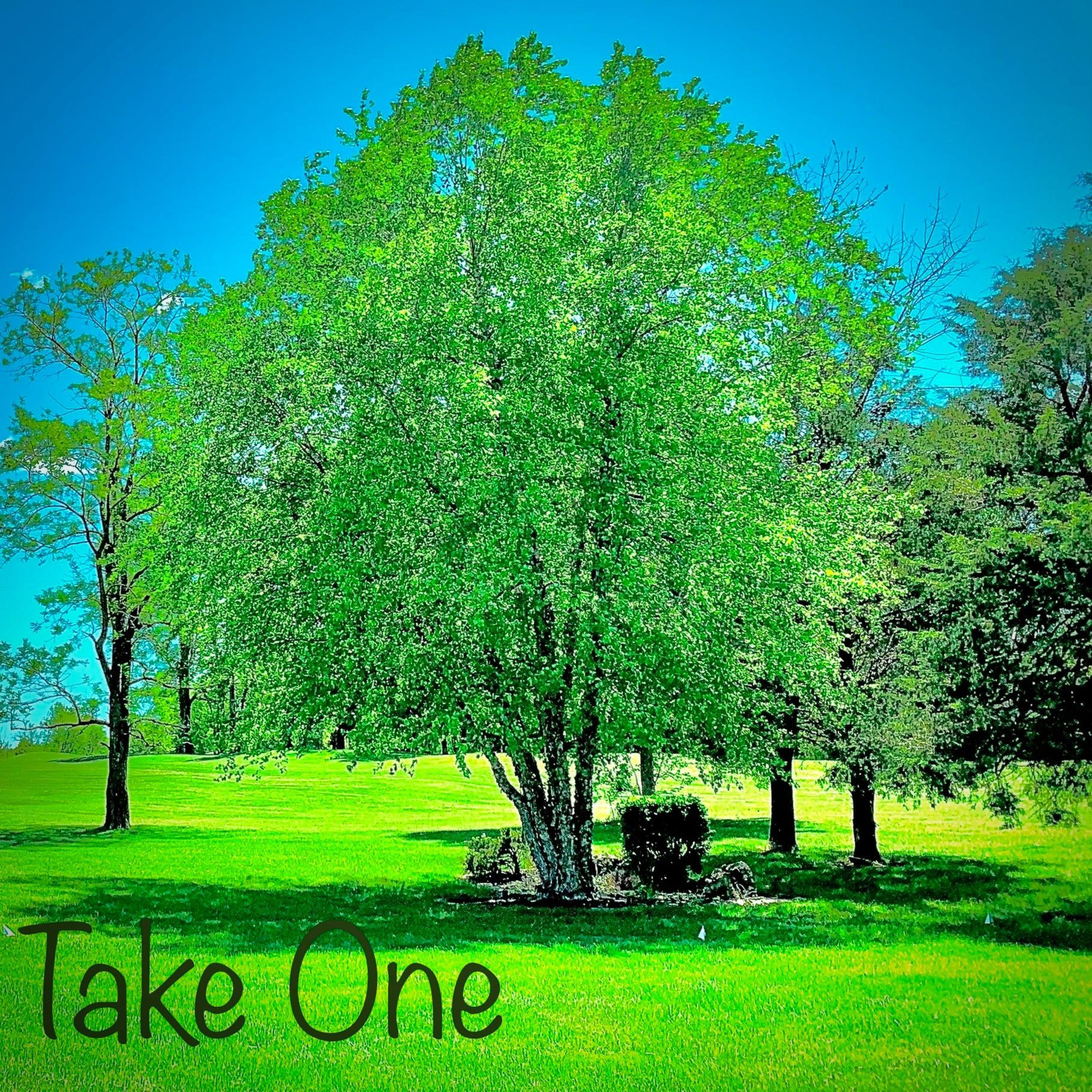 Take One - Ricky Gross - 单曲 - 网易云音乐