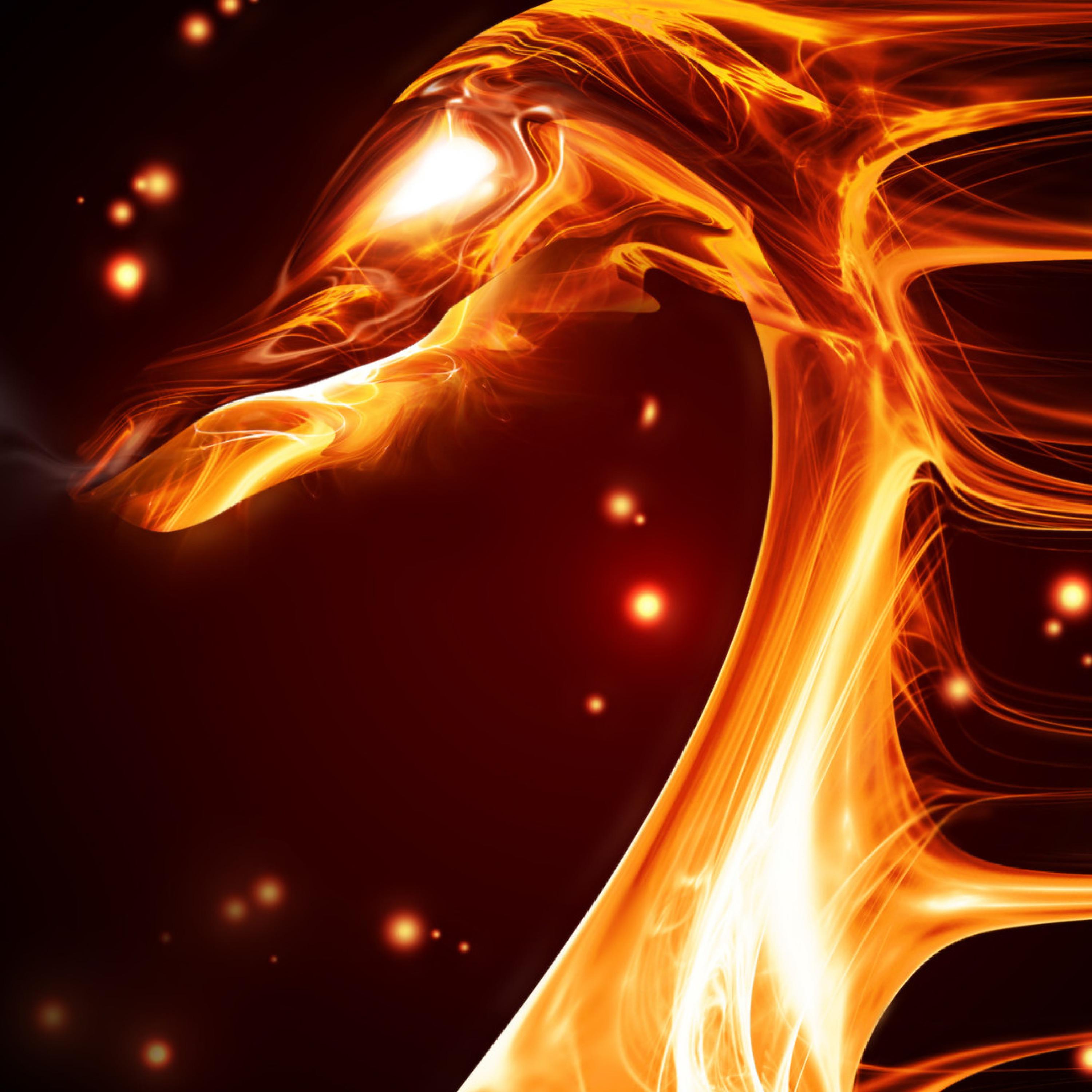 Fire's Volcanic Reflections - National Geographic Nature Sounds/Oasis ...