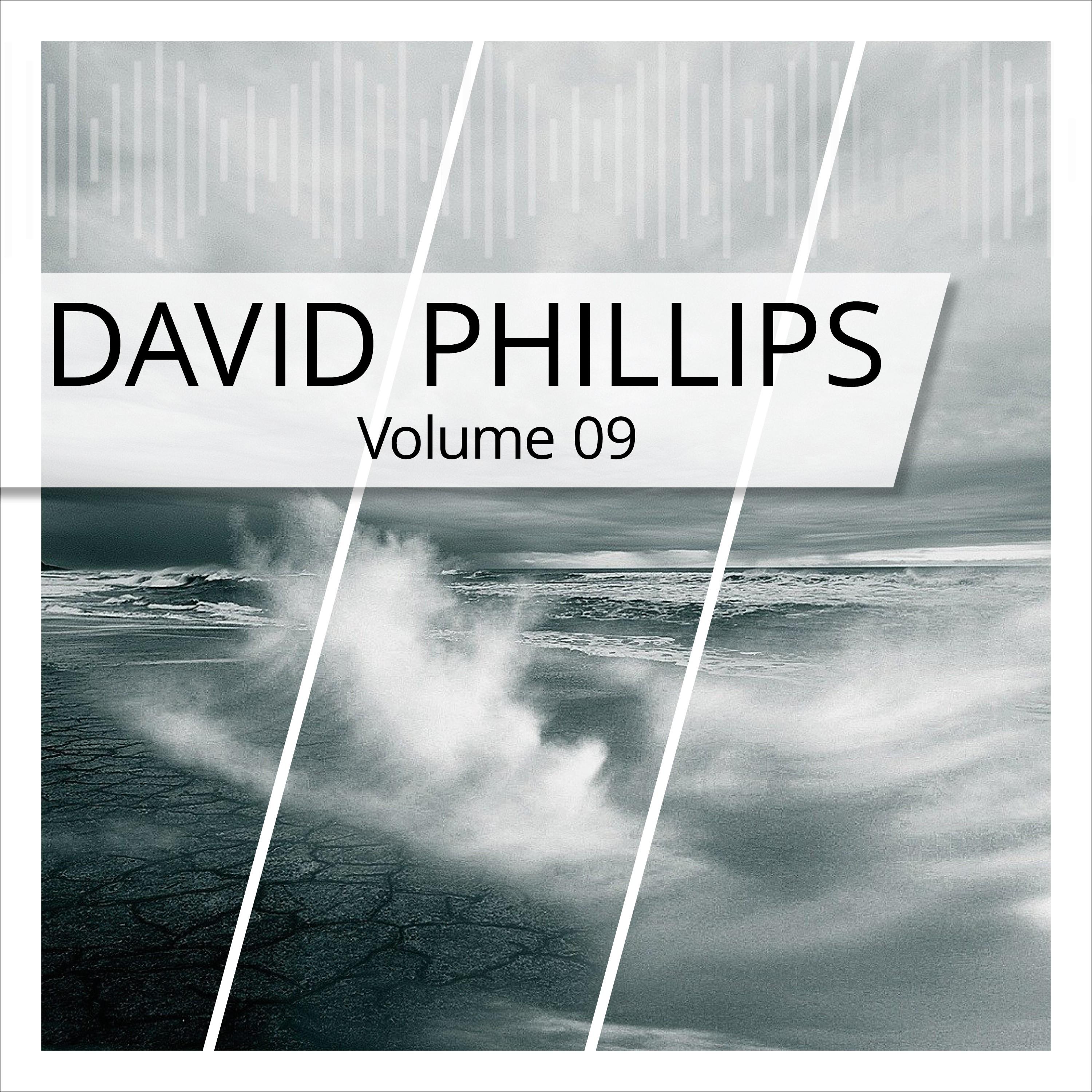 David Phillips, Vol. 9 - David Phillips - 专辑 - 网易云音乐