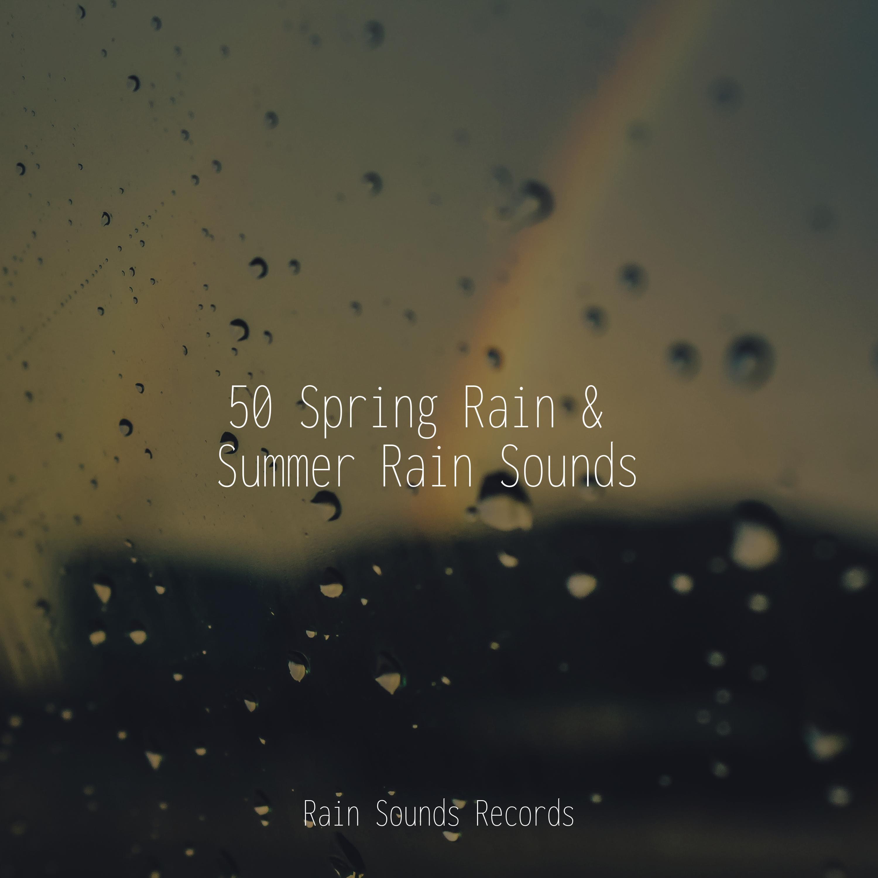 50 Spring Rain & Summer Rain Sounds - Sonido Del Bosque y Naturaleza ...