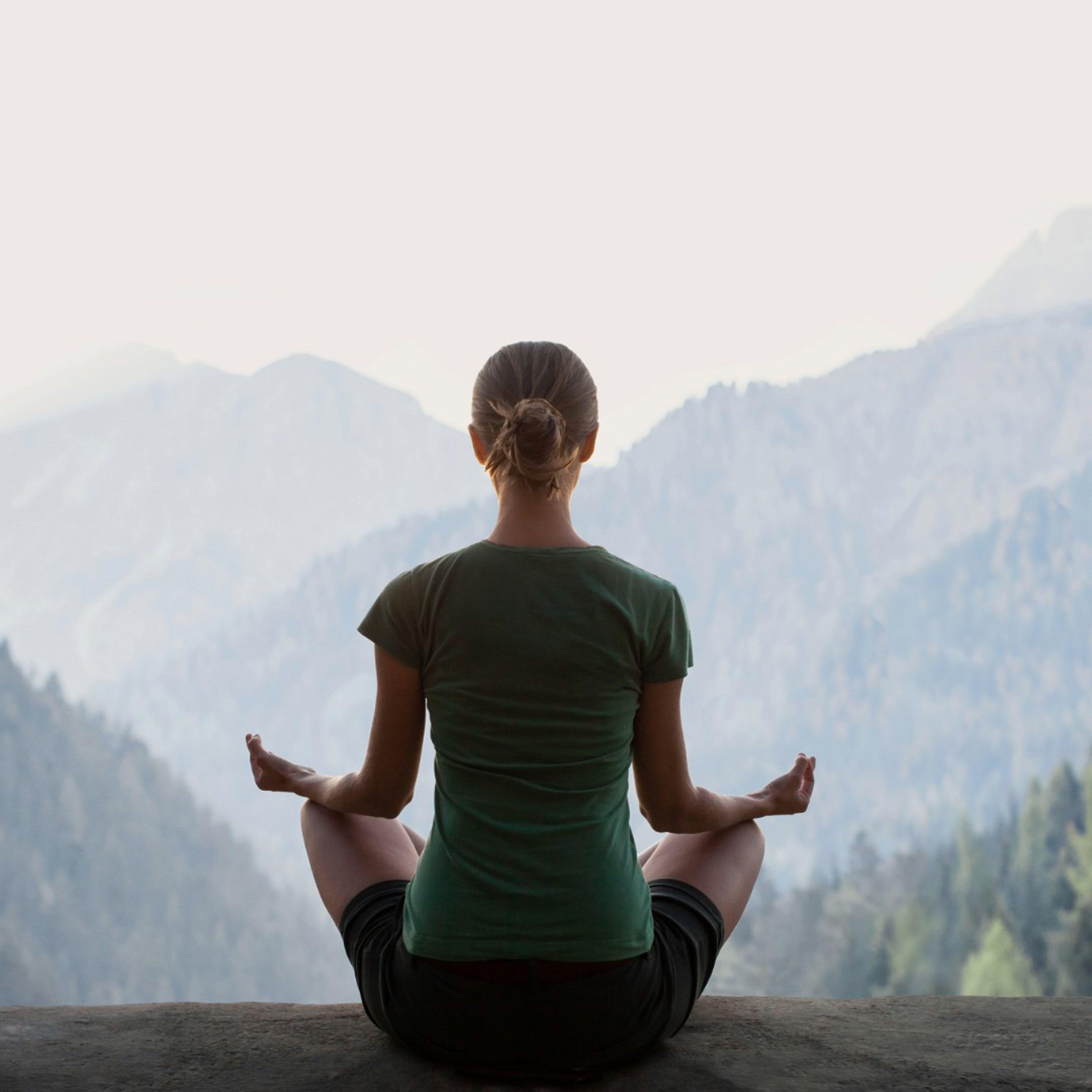 Tranquil Meditation Flow - Classical Instrumentals/Japanese Meditation ...