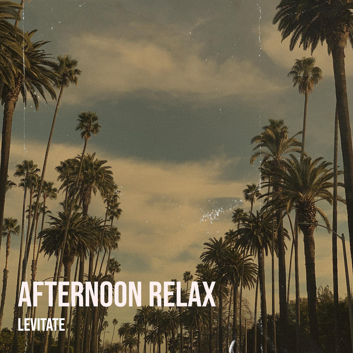 Afternoon Relax - LEViTATE - 专辑 - 网易云音乐