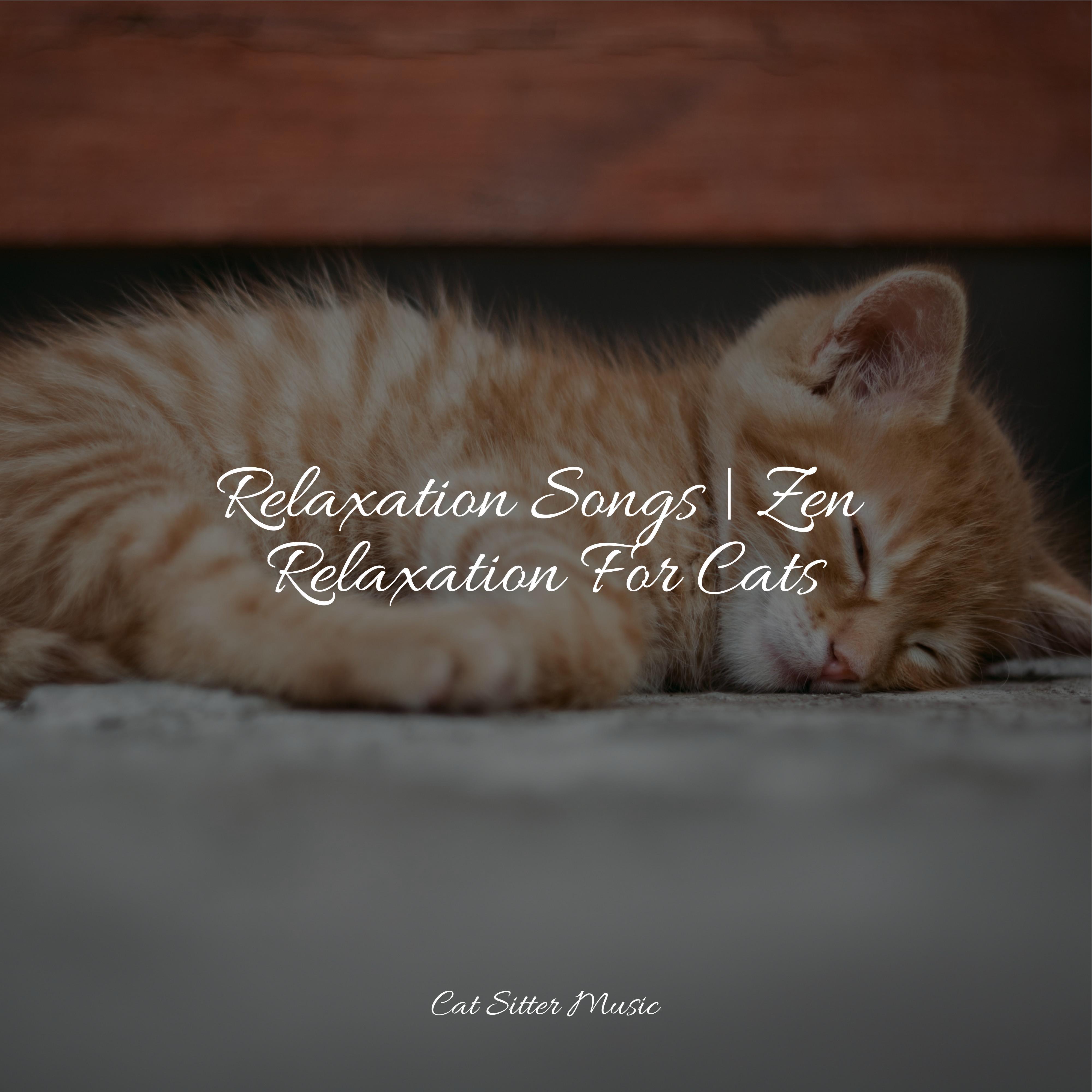 Midnight - Jazz Music for Cats/Music for Cats Project/Music for Cats ...